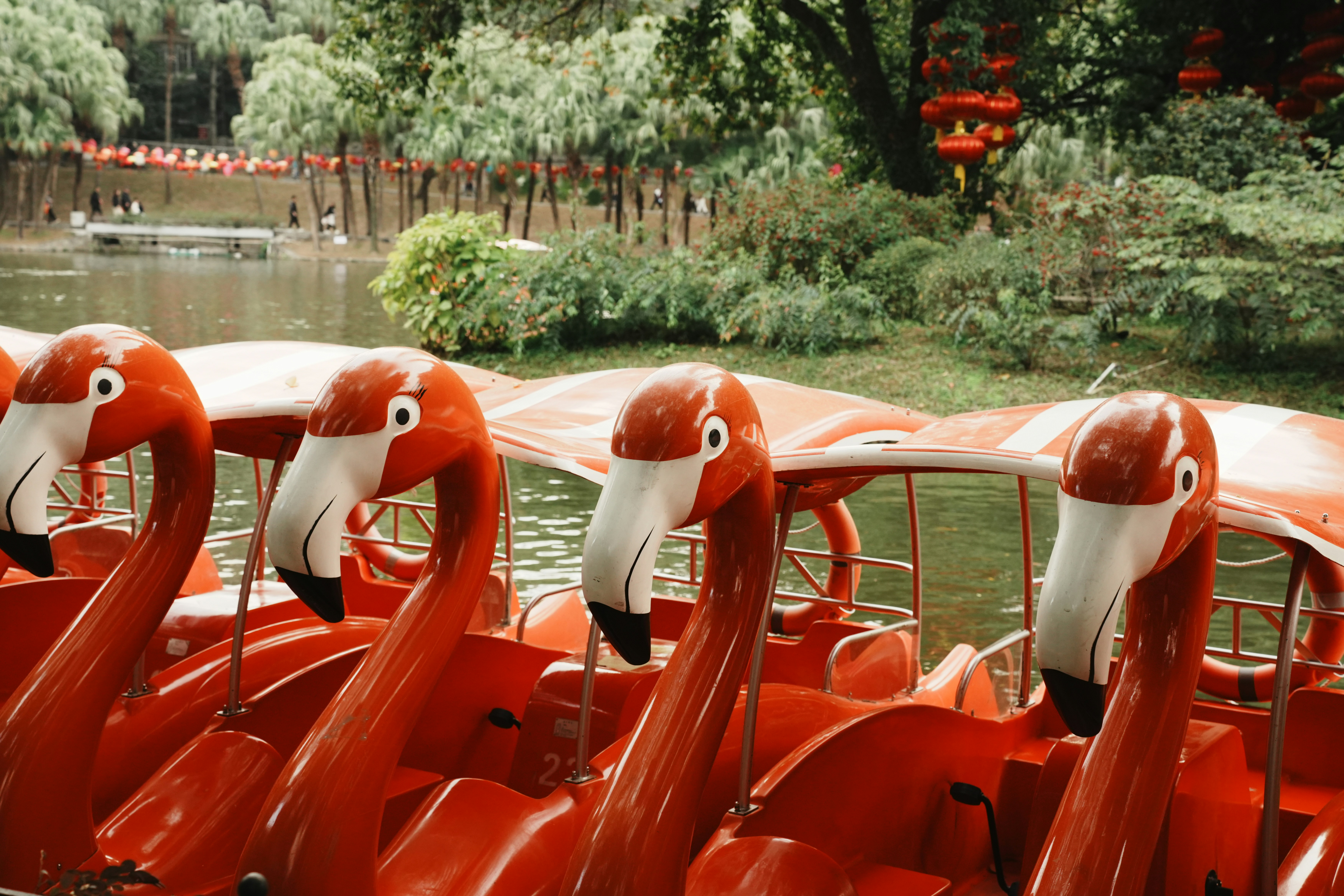 Row of Bright Flamingo Pedal Boats Docked Along a Tranquil Park Pond