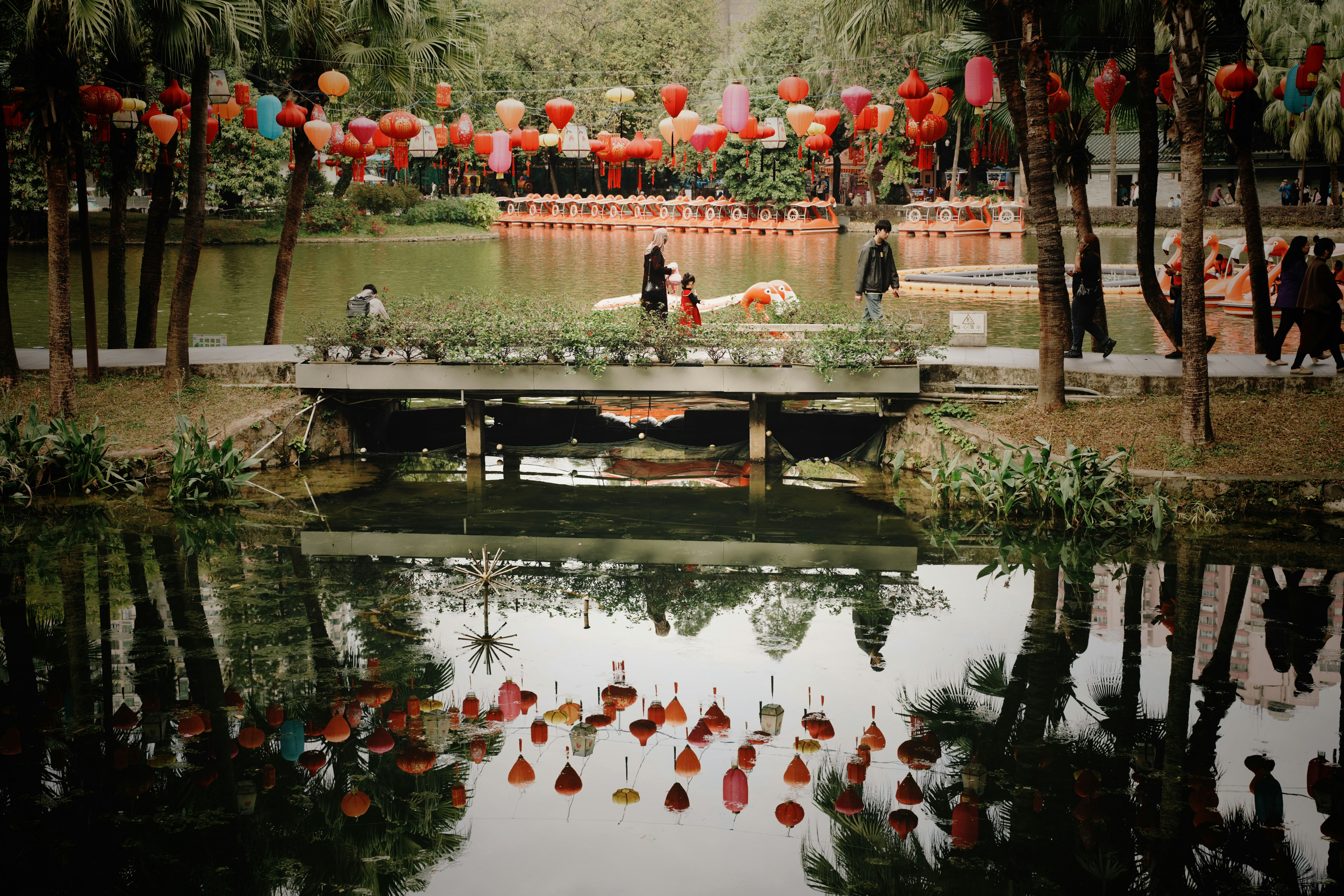 Lanterns on the Quiet Pond: A Bridge Between Reflections