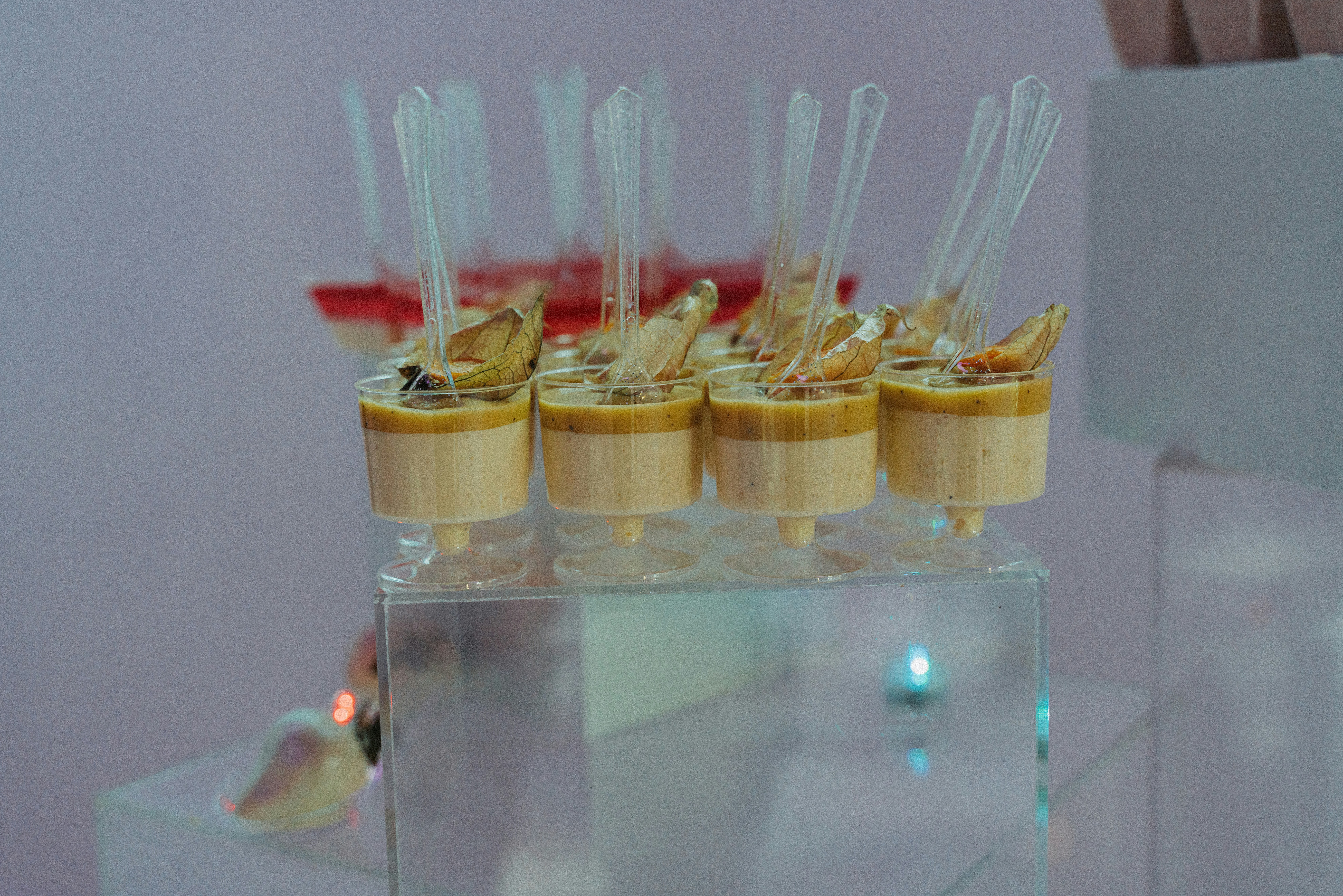 Photo by Jose Marroquin with Sony Alpha 7R III