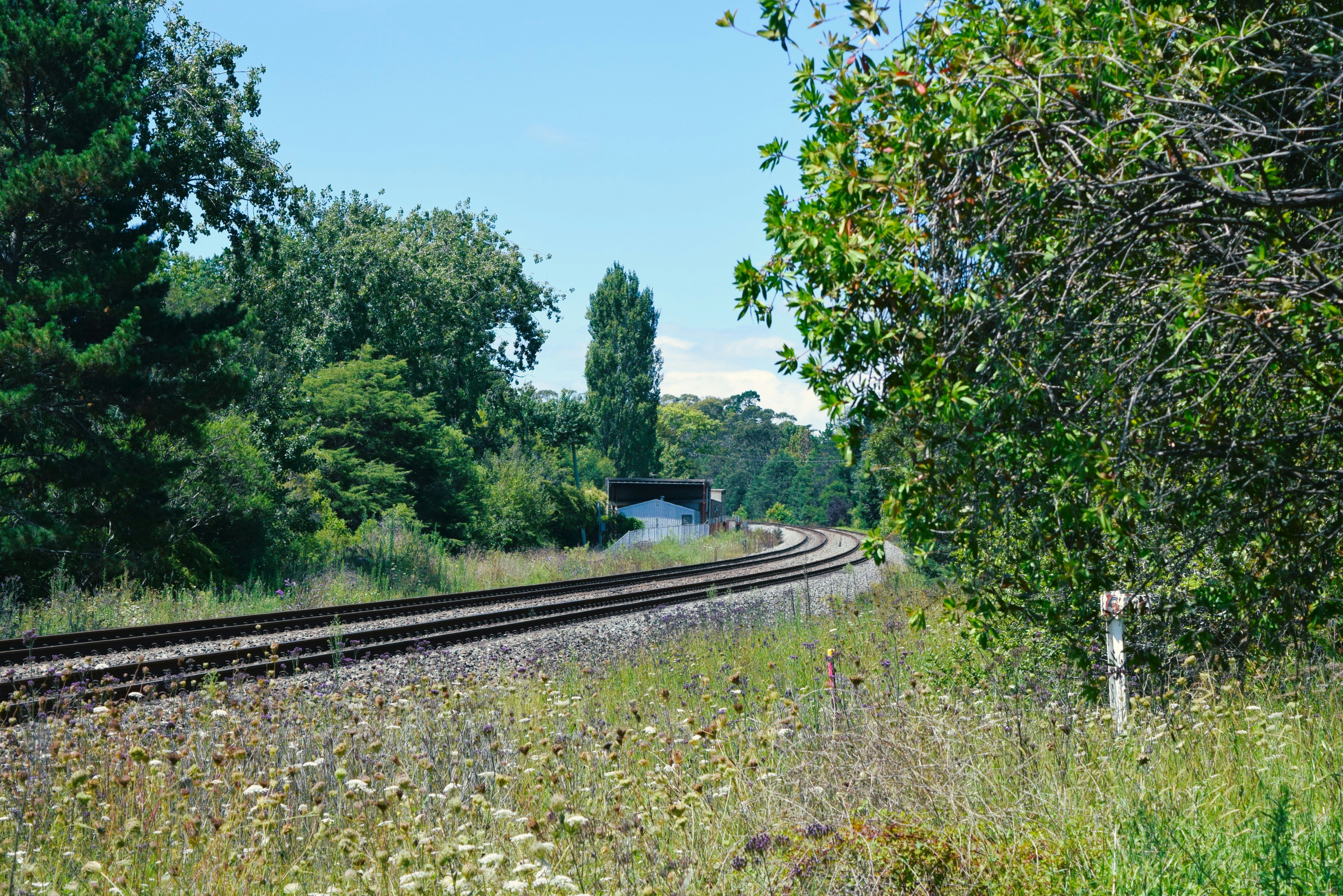 A train track running through a lush green forest photo – Free ...