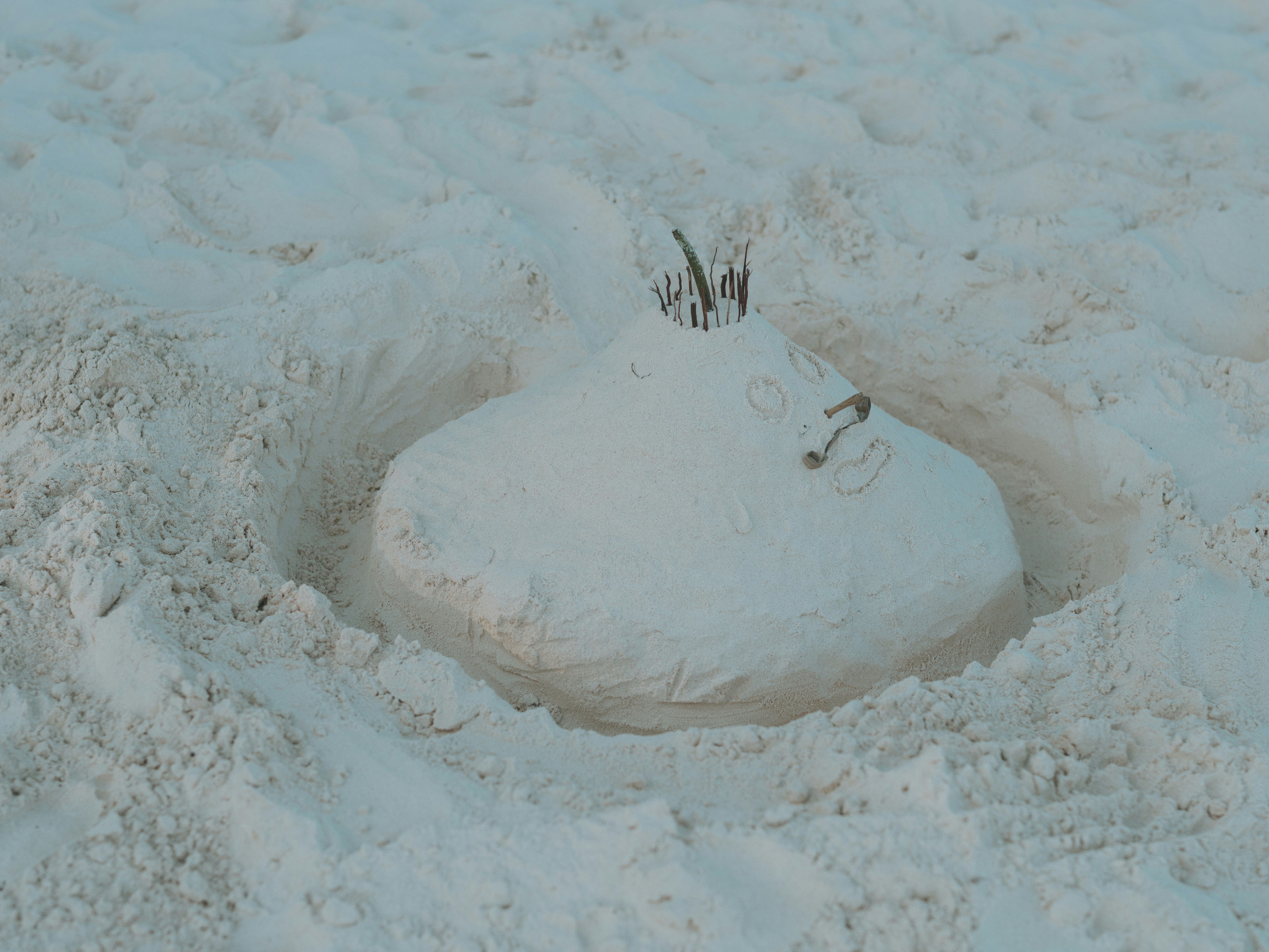 Twig Crown on a Snow Dome: Minimal Snow Sculpture in Quiet Light