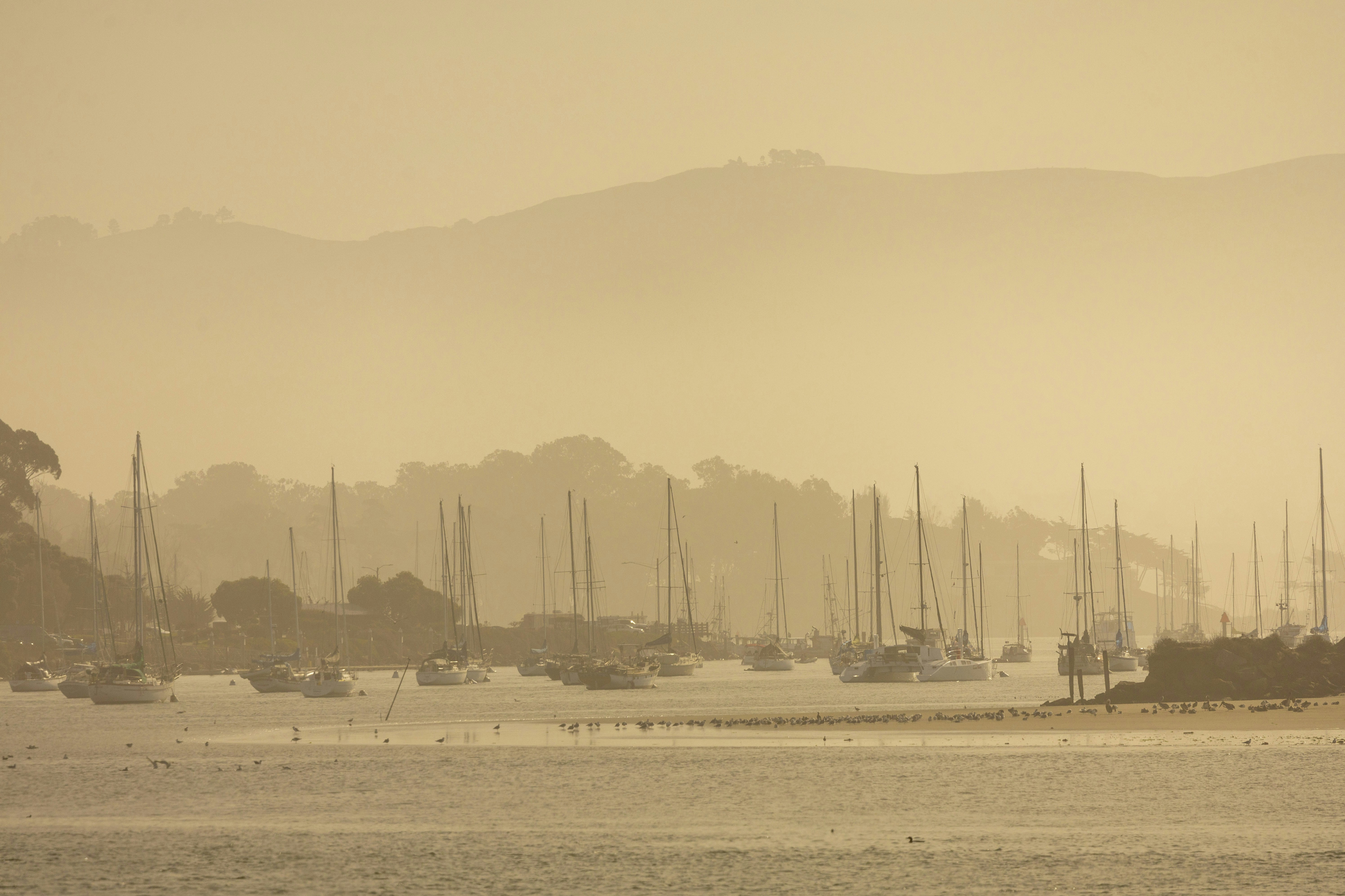 Sailboats anchored in a tranquil bay under a hazy, golden sky.