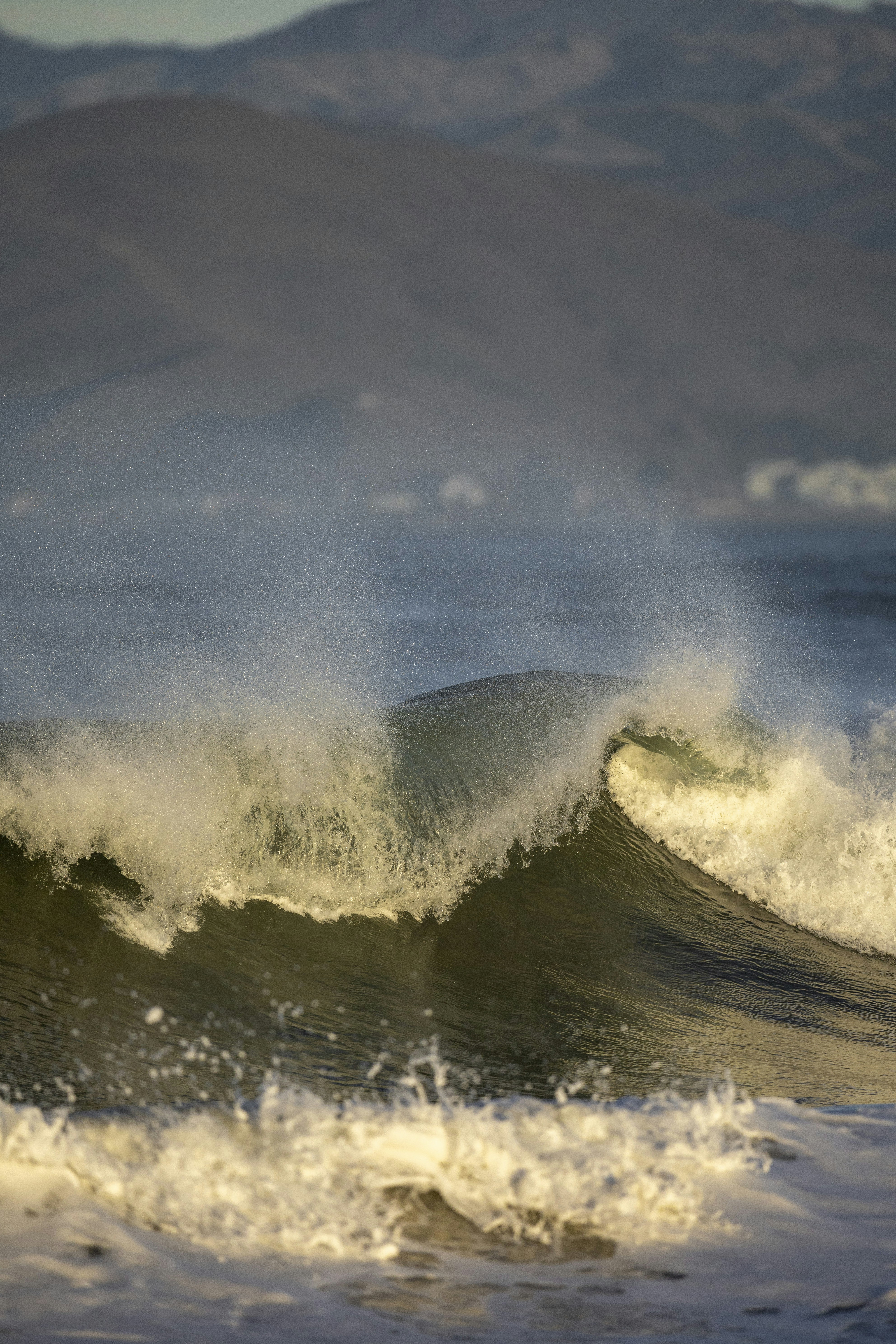 Sunlit Green Barrel: A Golden Hour Coastal Breaker