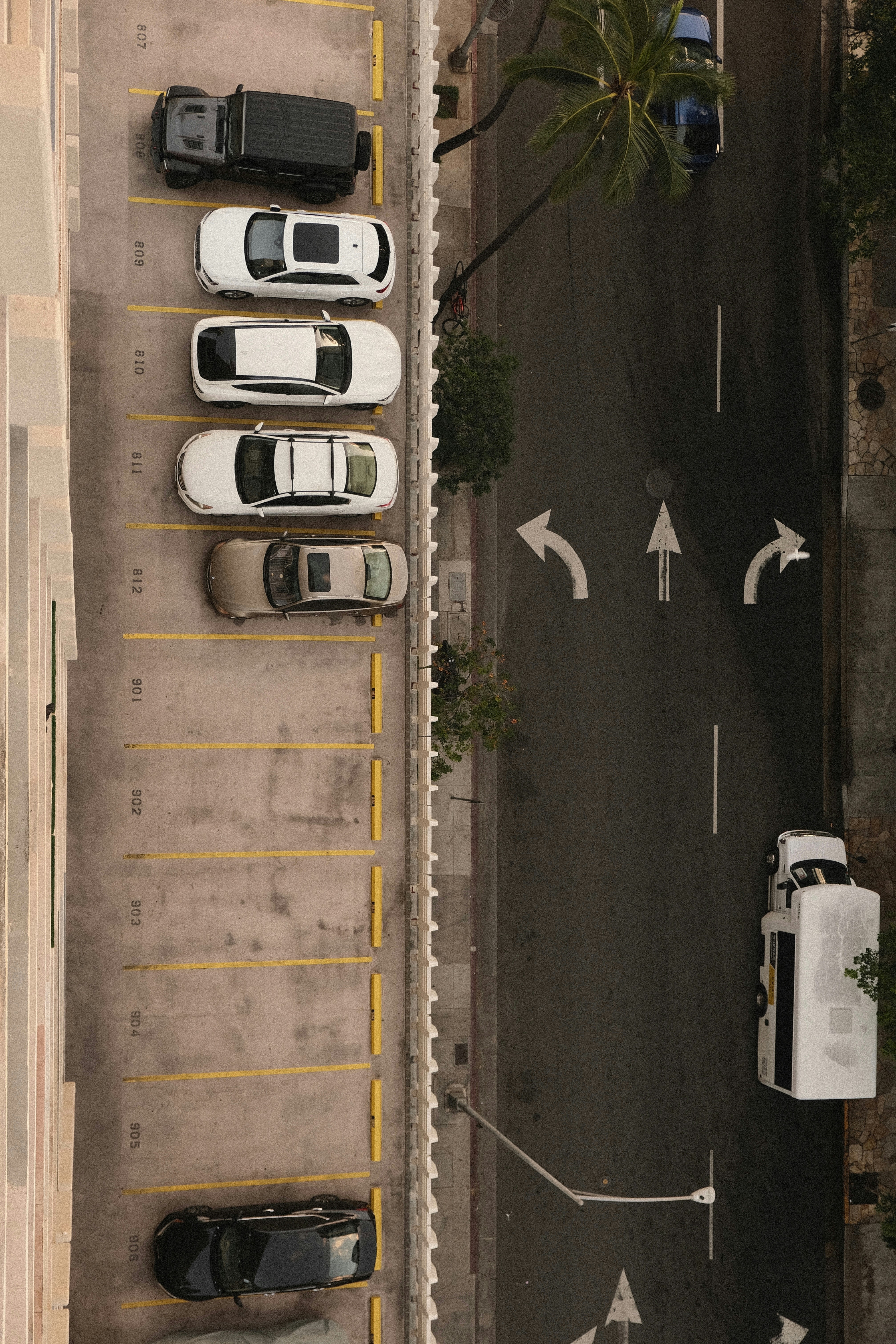 Photo by Saul Macias with Fujifilm X-T30 II