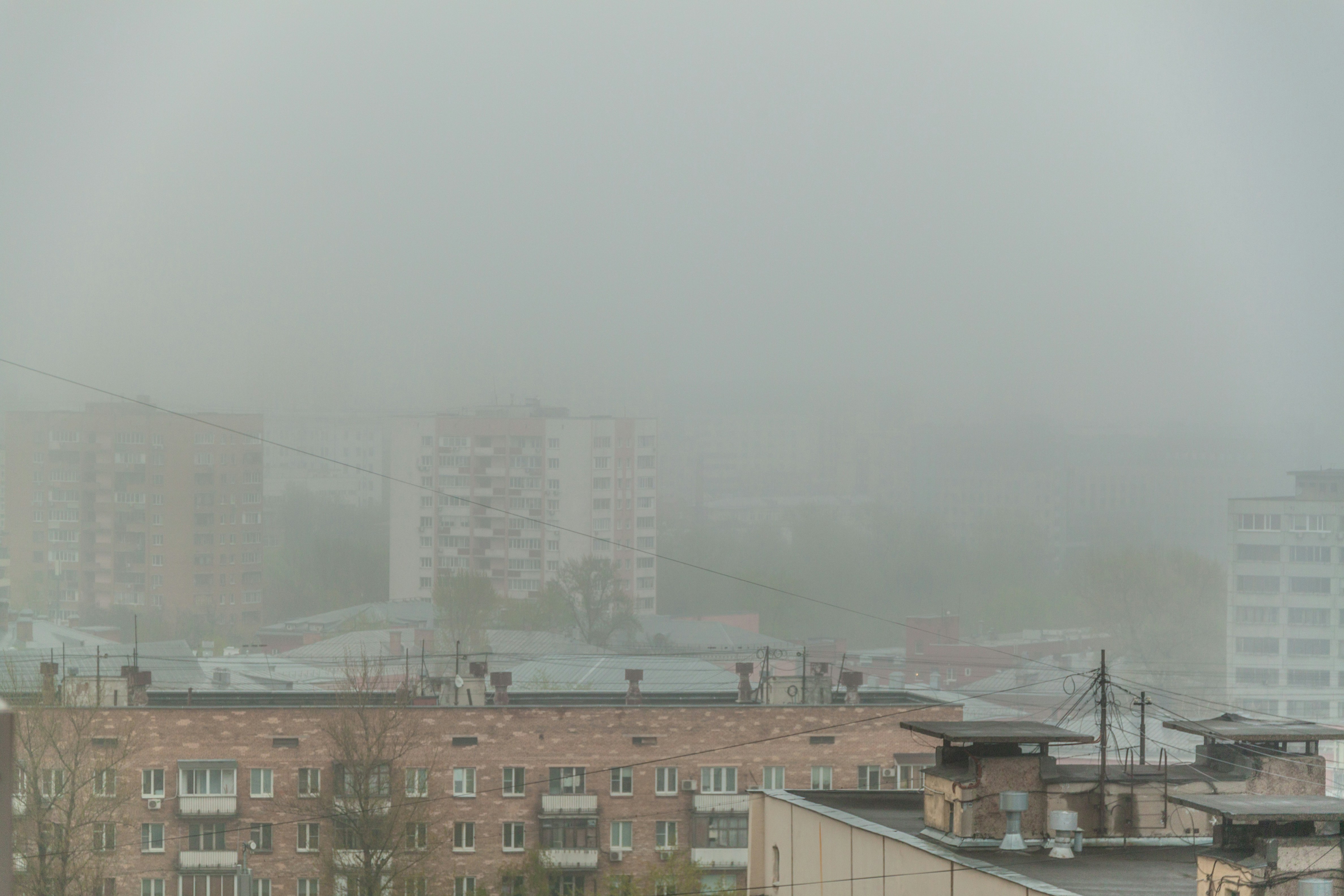 City buildings partially obscured by dense fog, creating a muted and serene atmosphere.