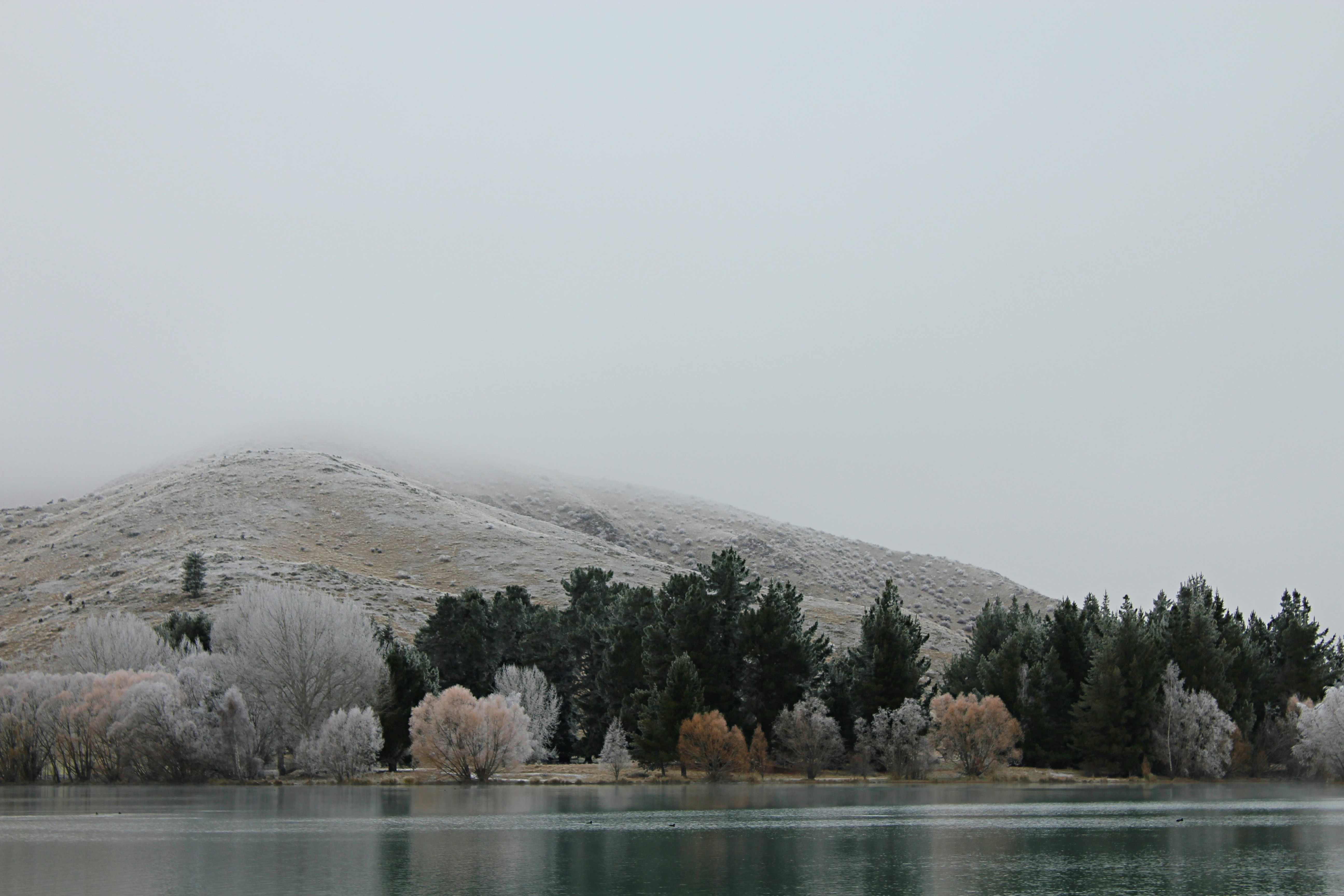 Whispering Fog Over Frosted Hills