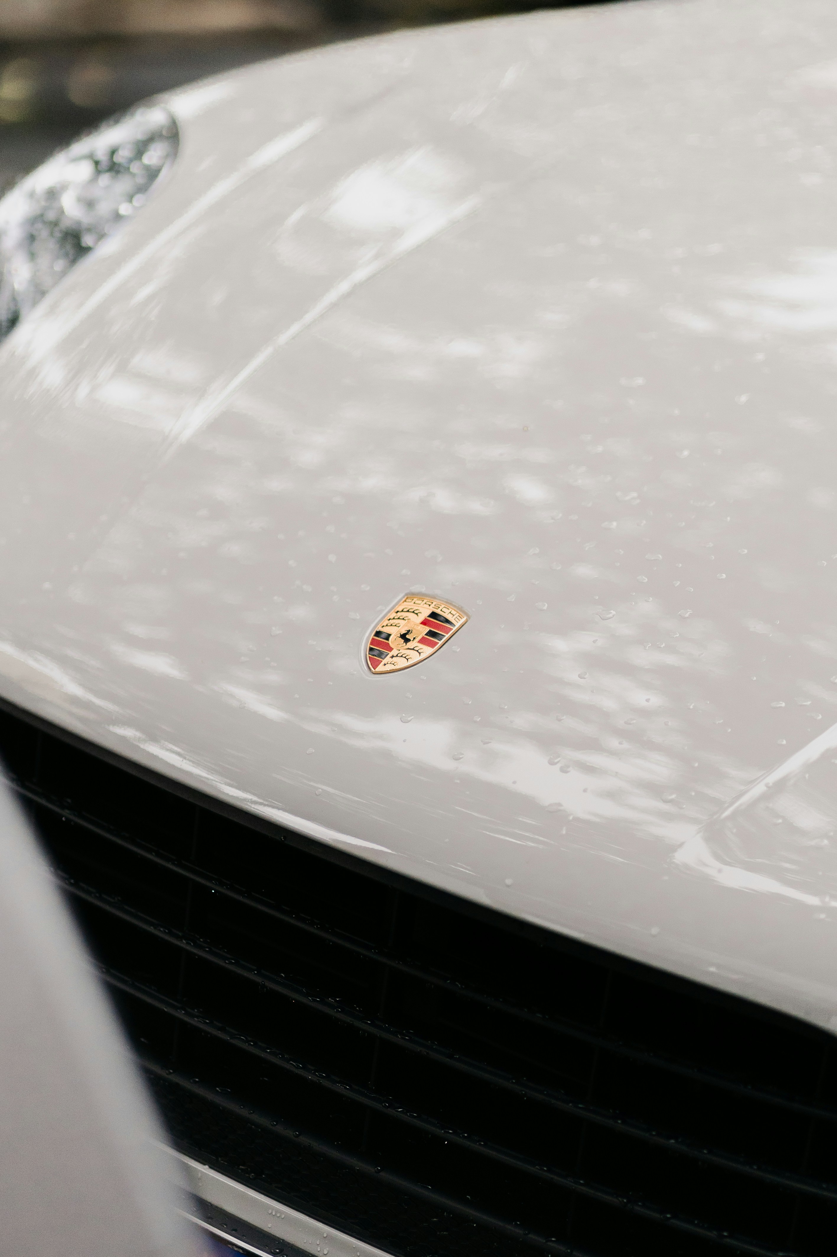 Porsche Crest Framed by a Glossy Hood and Quiet Reflections