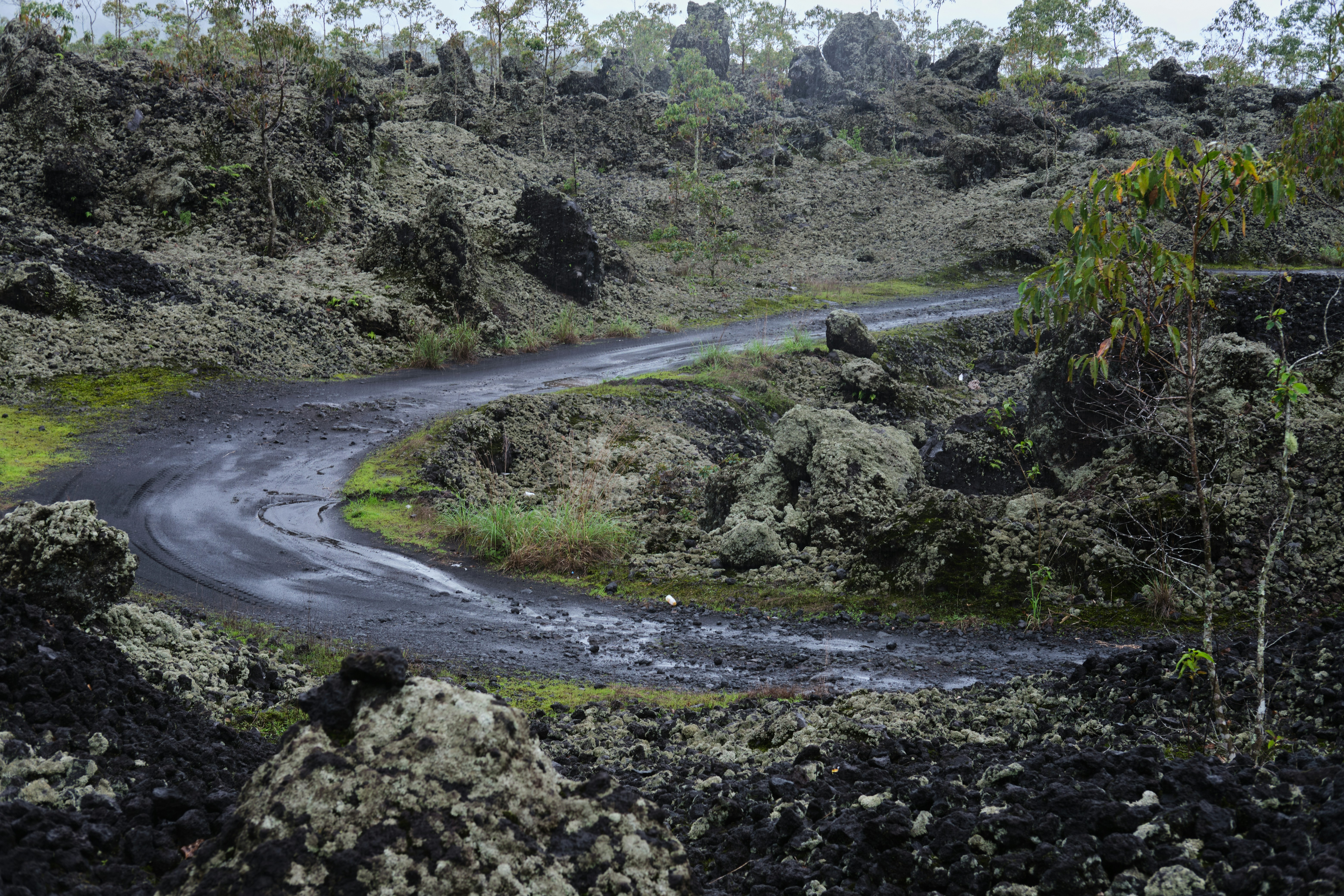 Winding road through rugged, moss-covered rocks and sparse trees under overcast skies.
