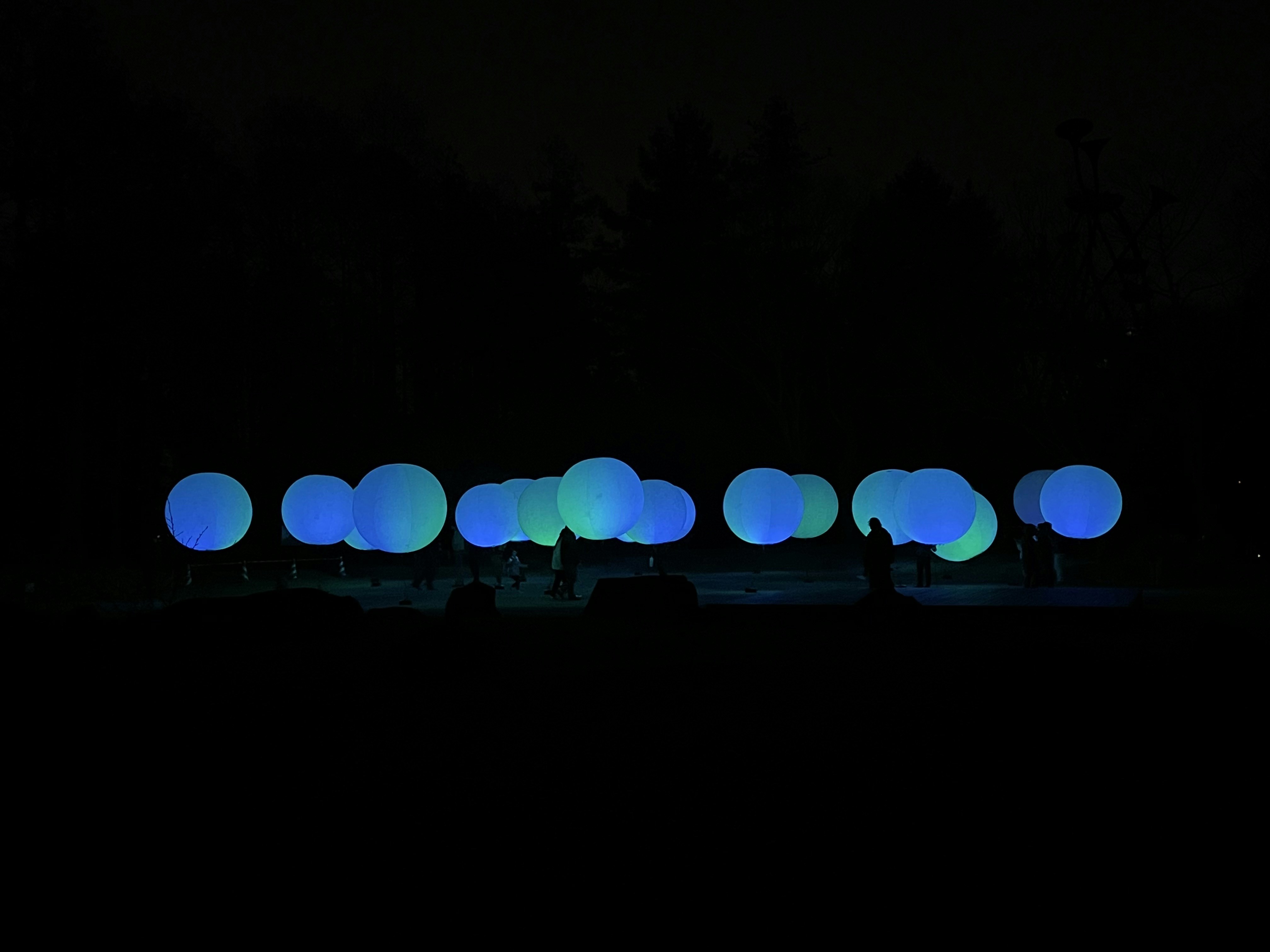 Nocturnal Dance of Luminous Orbs