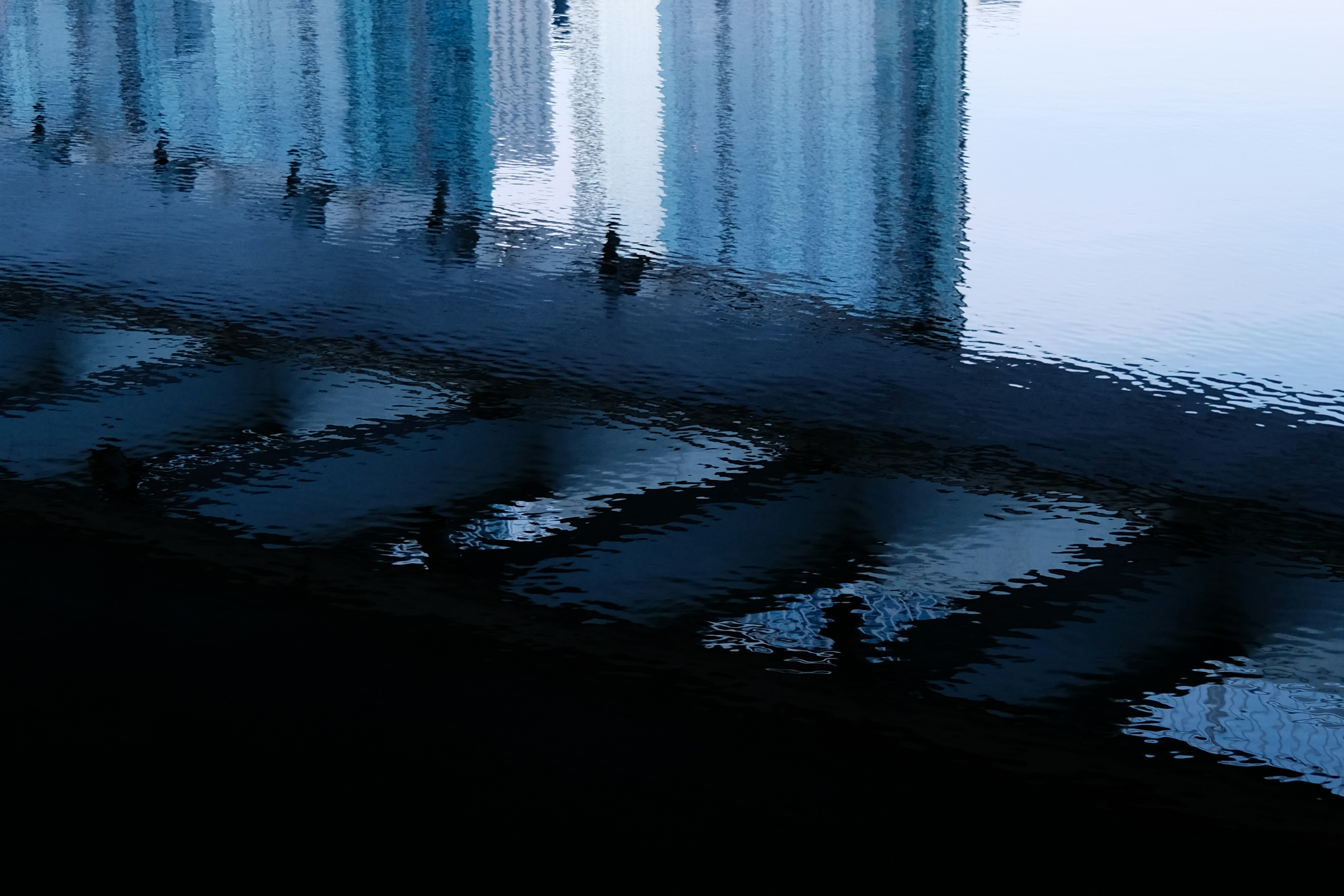 Blue Glass Reflections: A solitary duck glides beneath an urban cyan skyline