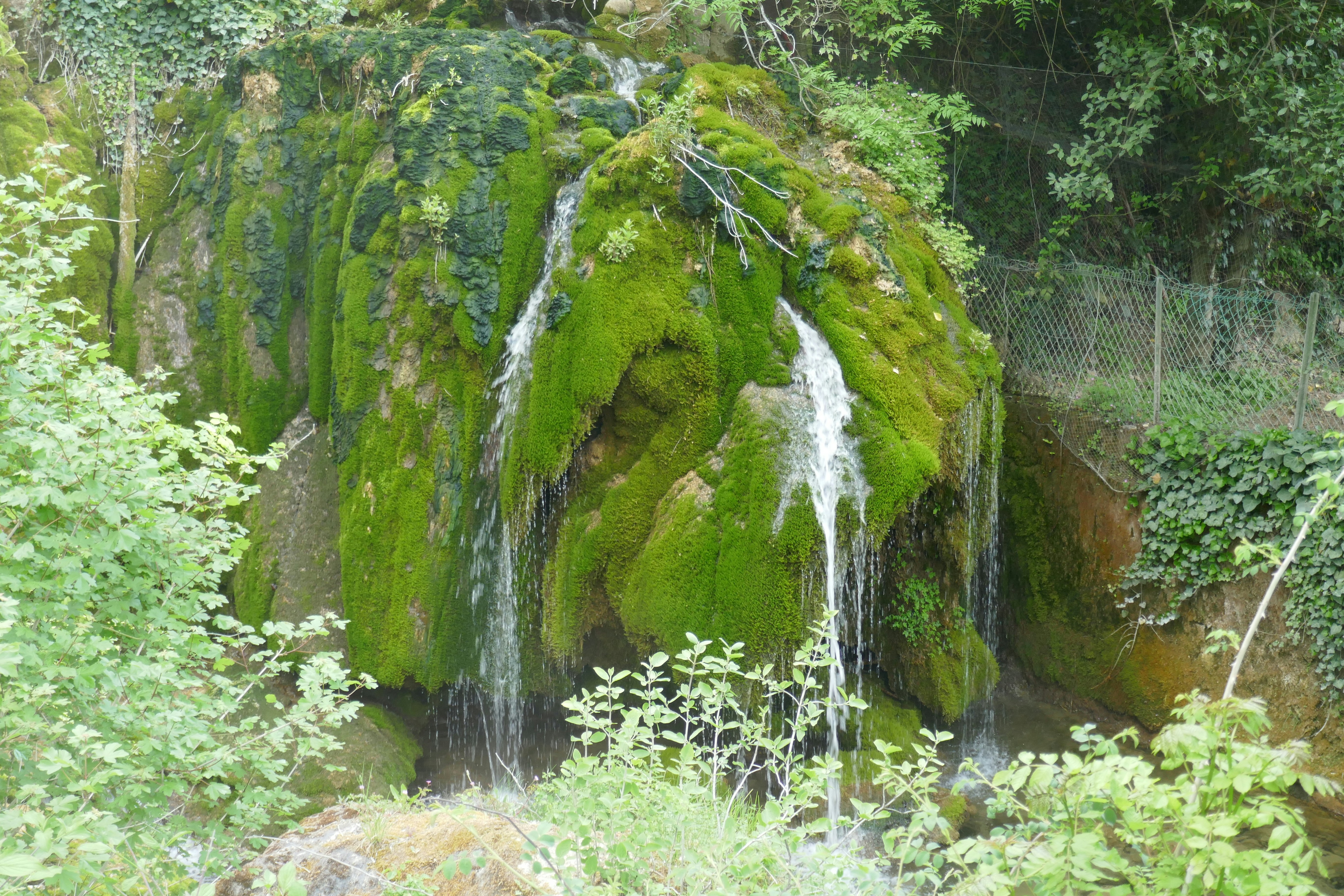 Photo by Carnet de Voyage d'Alex with Panasonic Lumix TZ100