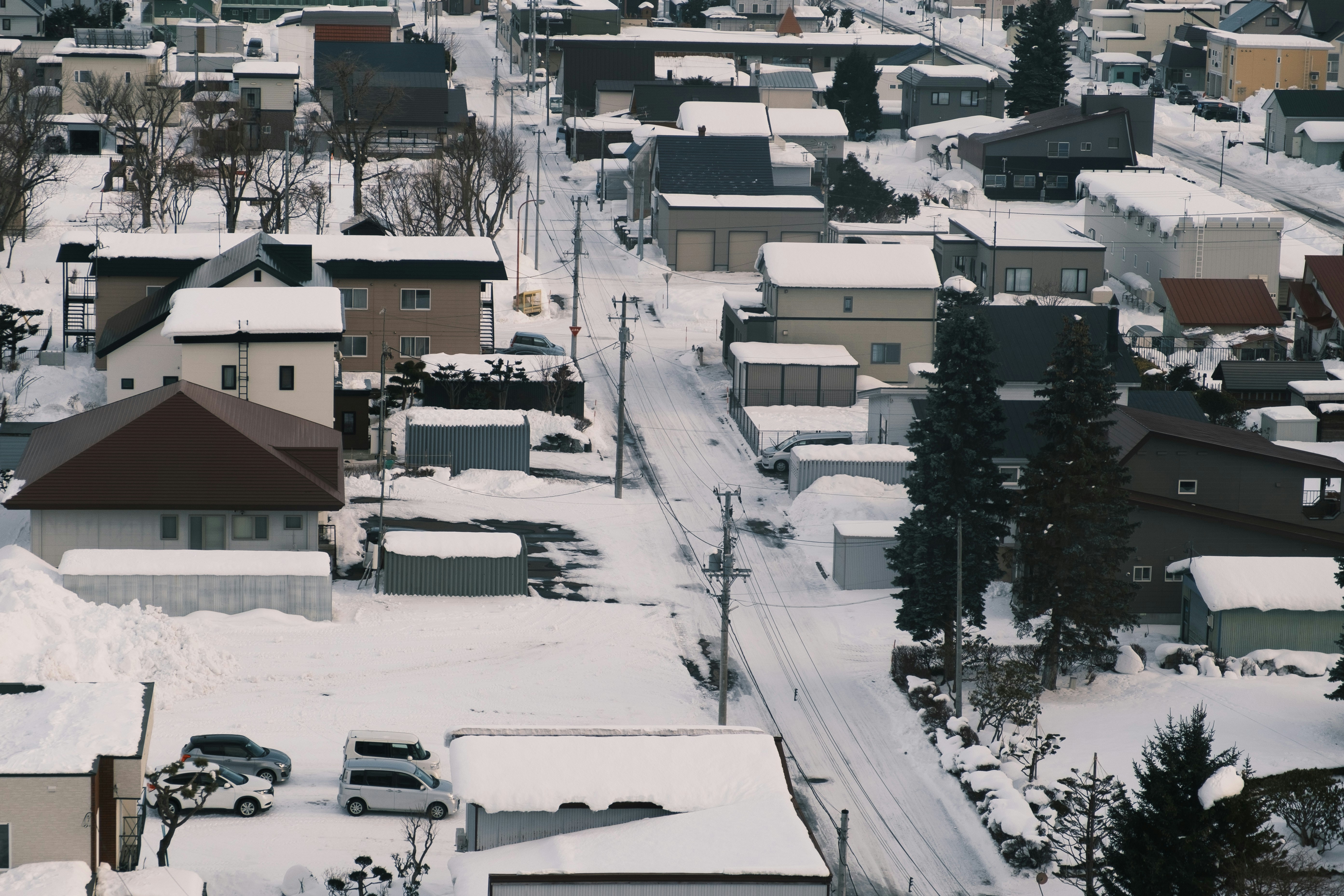 Snow-covered town with roads, buildings, leafless trees, and evergreens under soft, diffused lighting.