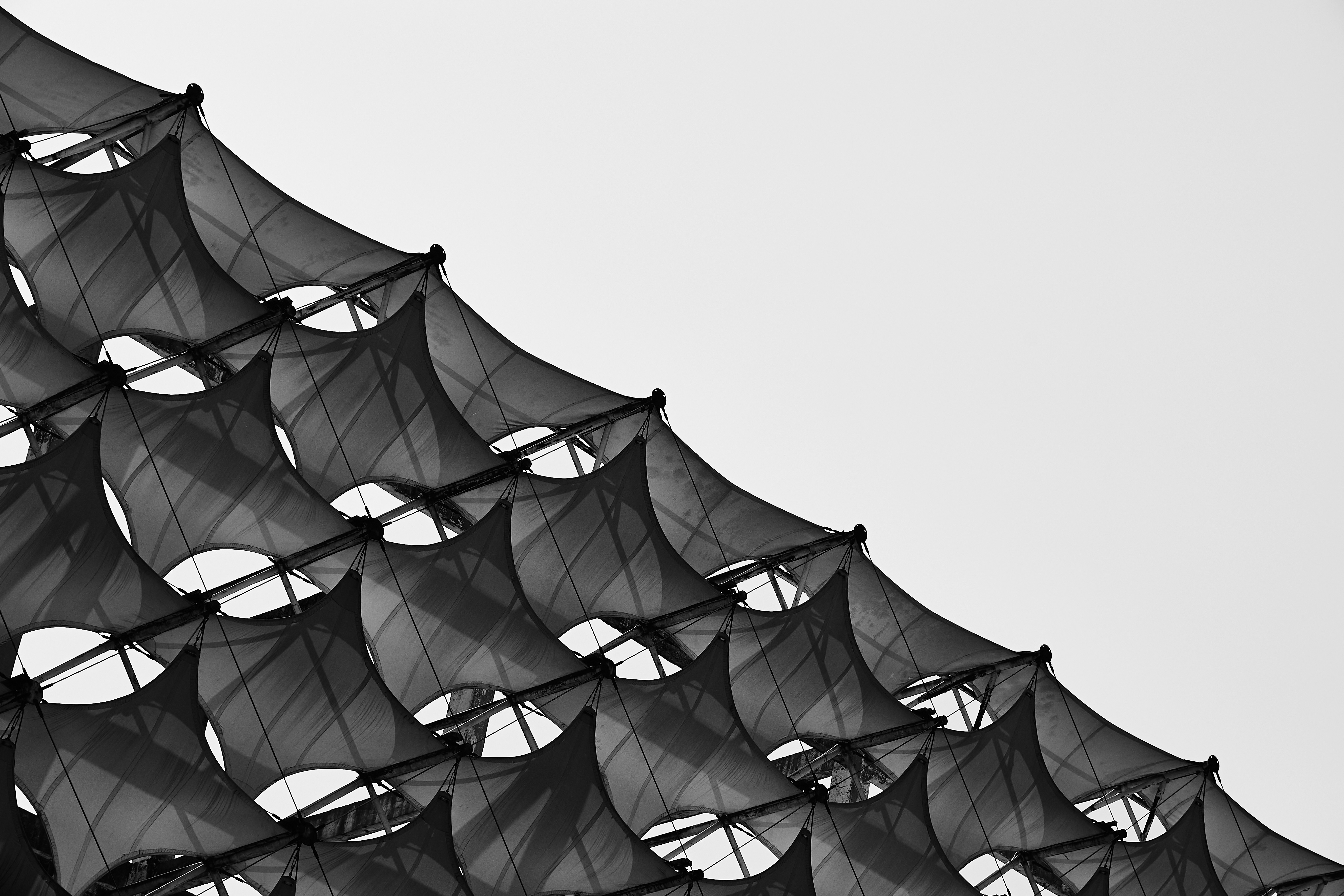 Photo by ilpadre with Canon EOS R6