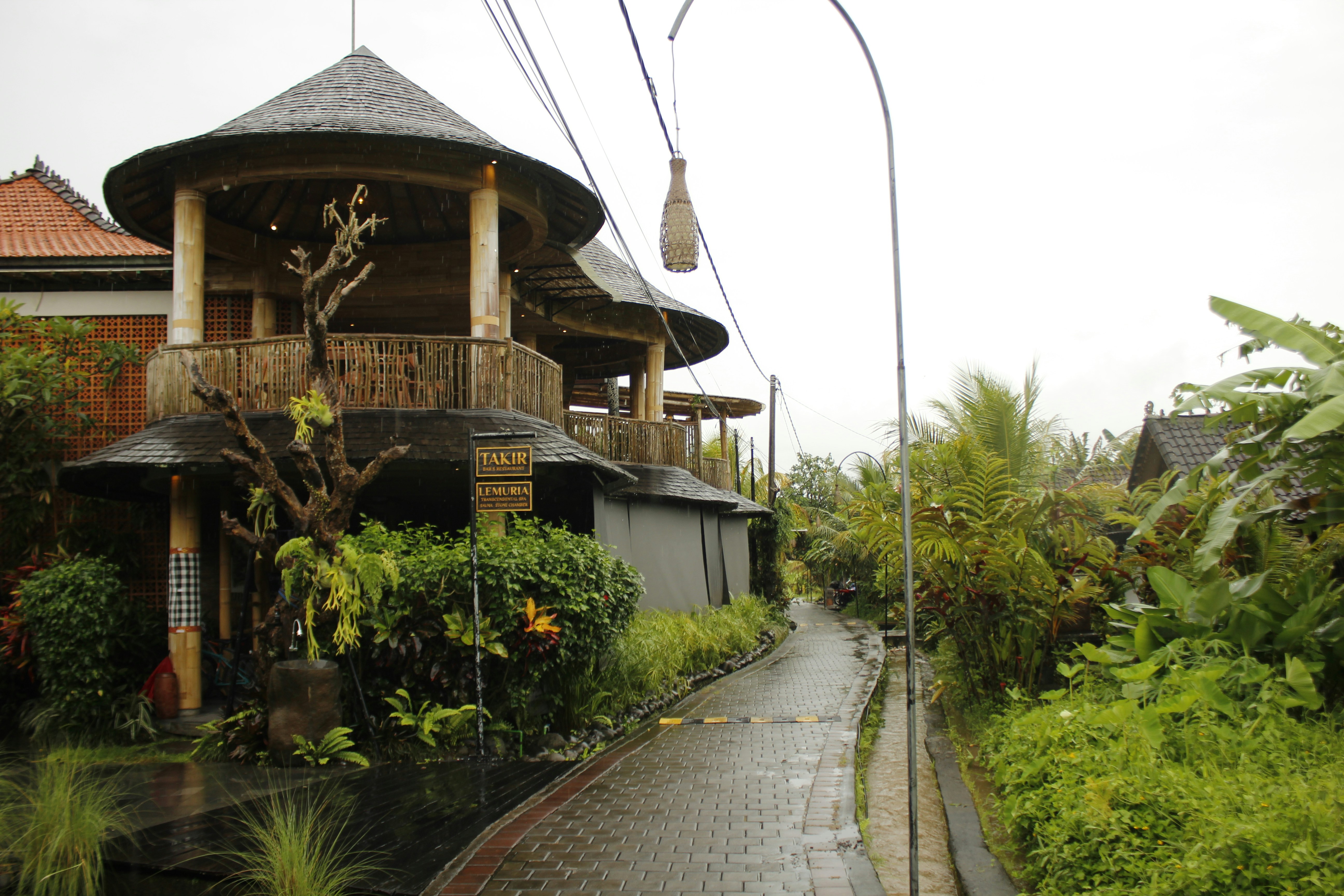 Rain-Kissed Oasis of Bamboo and Greenery