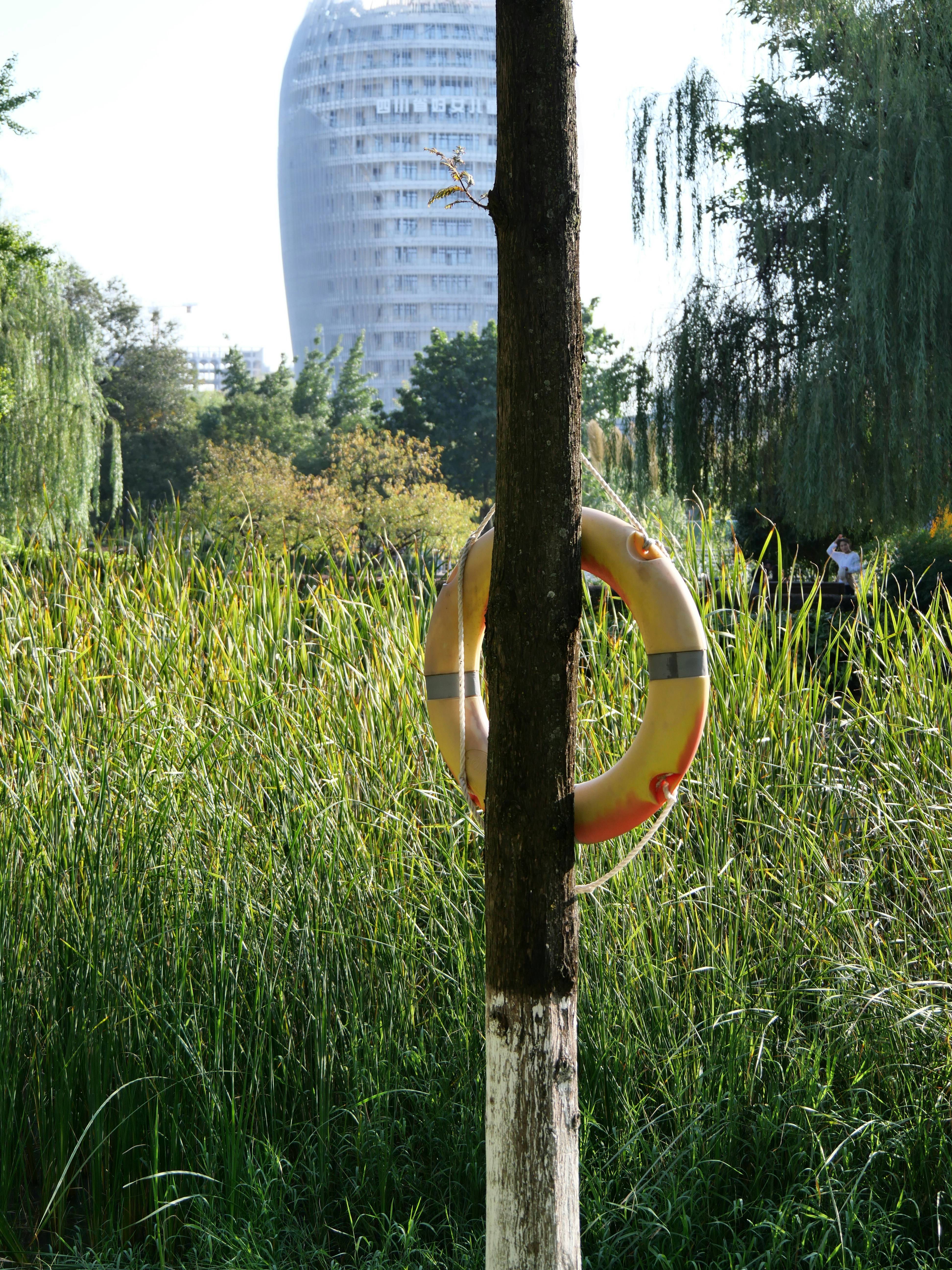 Lifebuoy hanging on a tree trunk surrounded by tall grass and a modern building in the background, symbolizing safety in a serene environment.