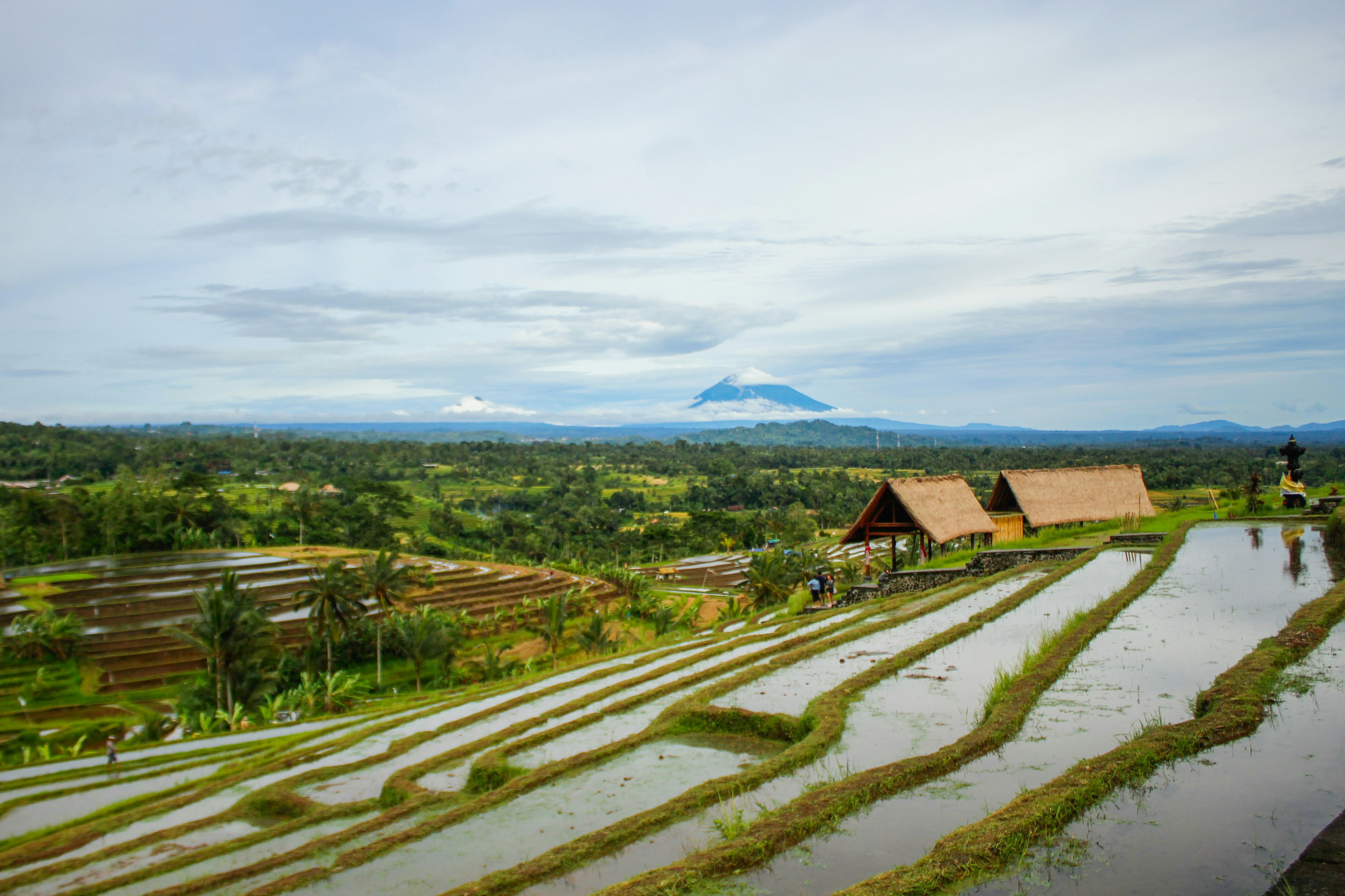 Terraced rice fields with reflective waters lead to a distant mountain under an overcast sky.