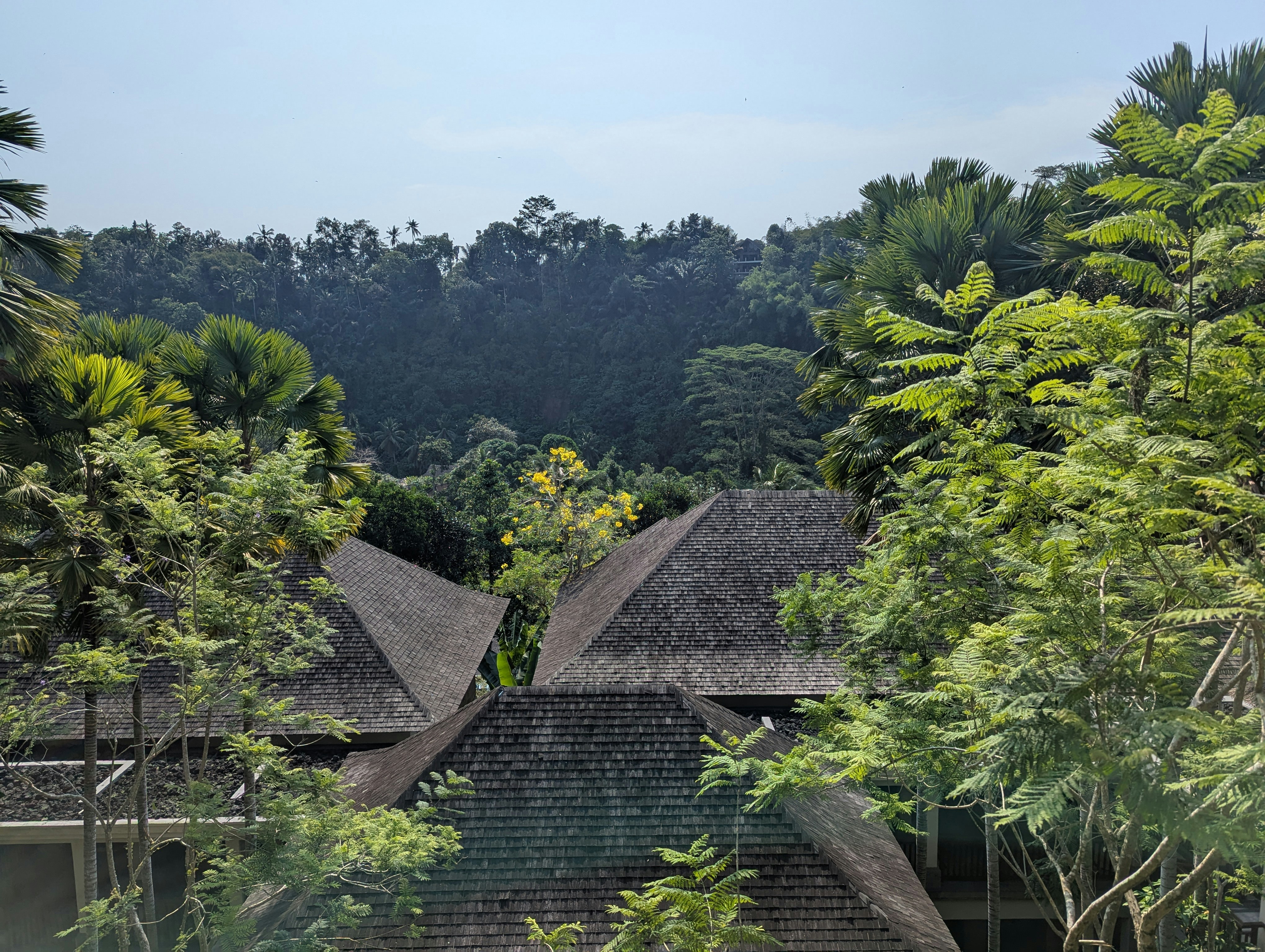 Verdant Canopy Embrace