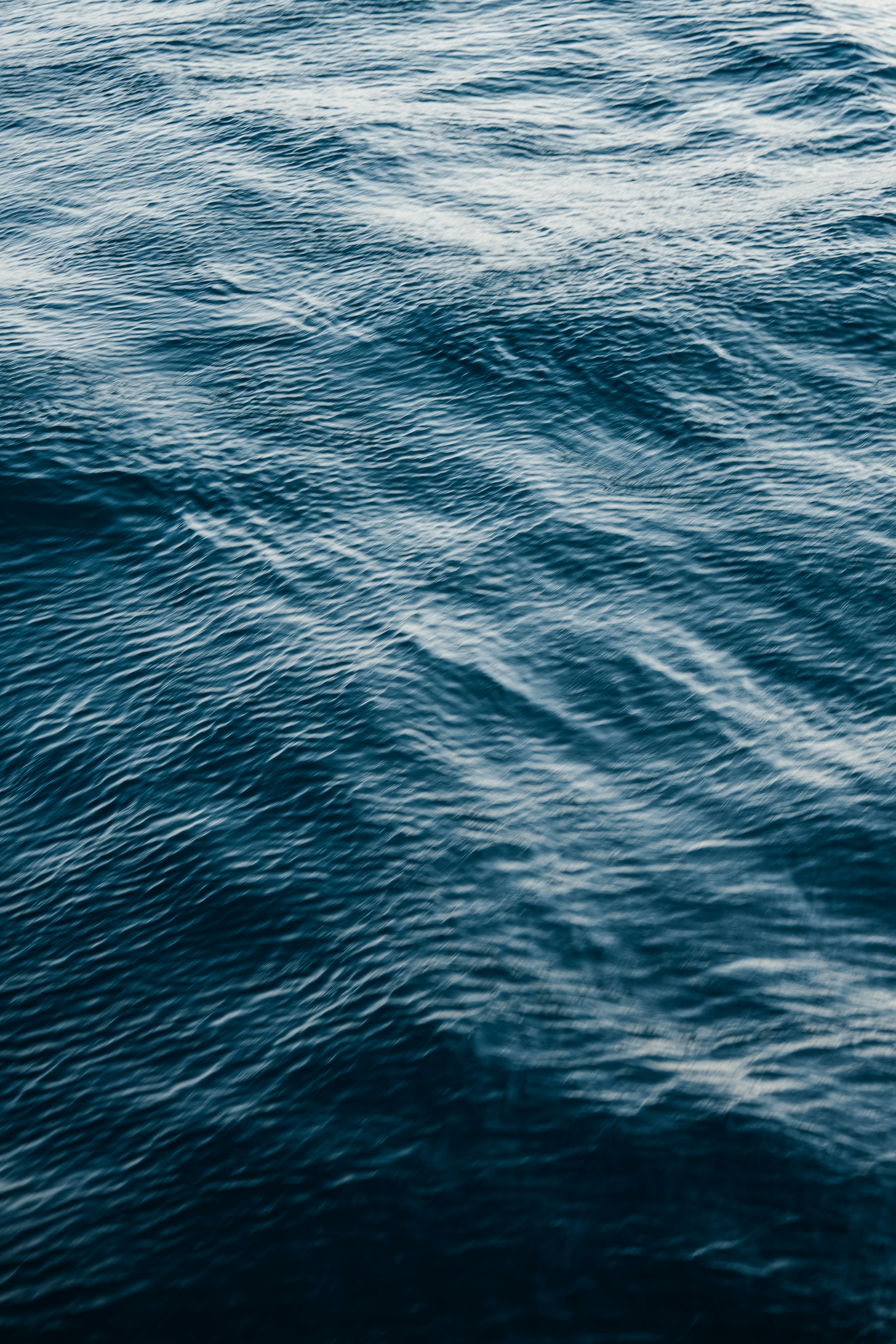 Photo by Ahmed with Sony Alpha 7 IV