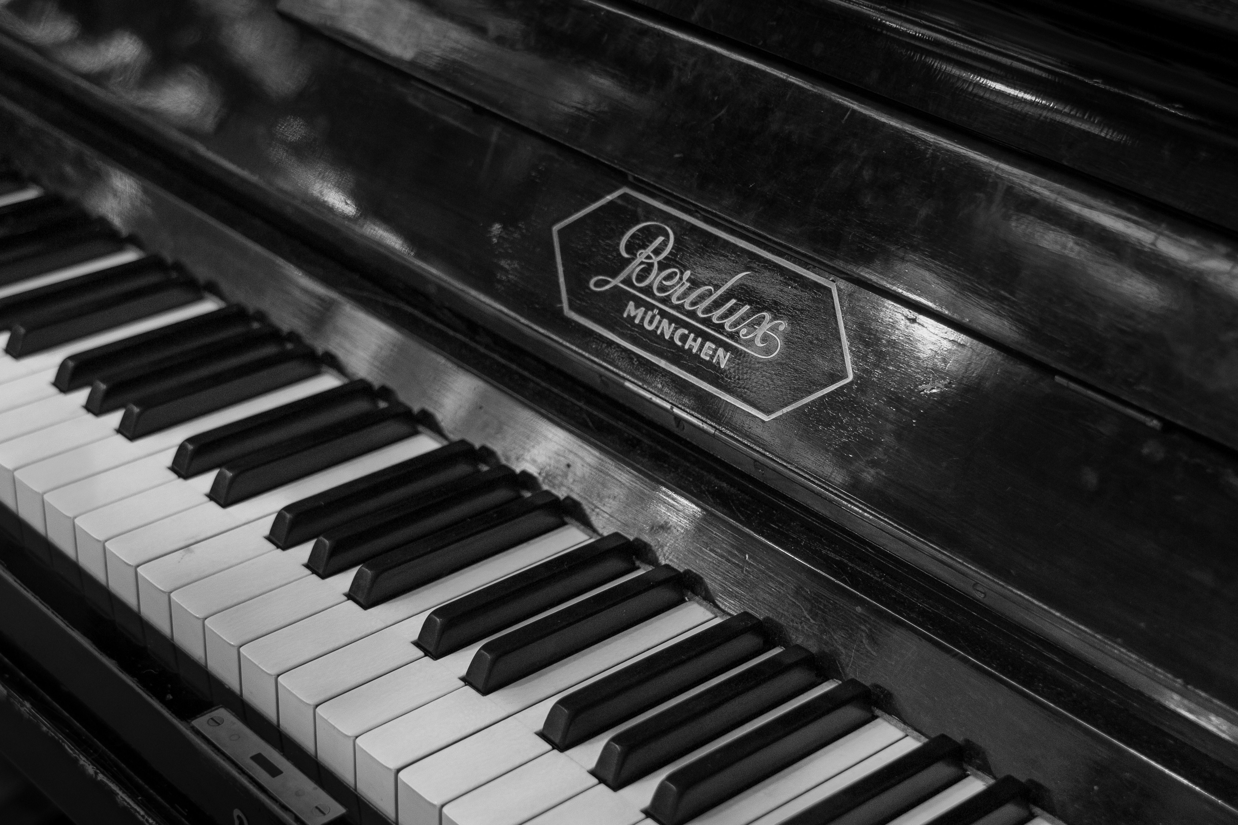 Bechstein München emblem: a noir portrait of a grand piano