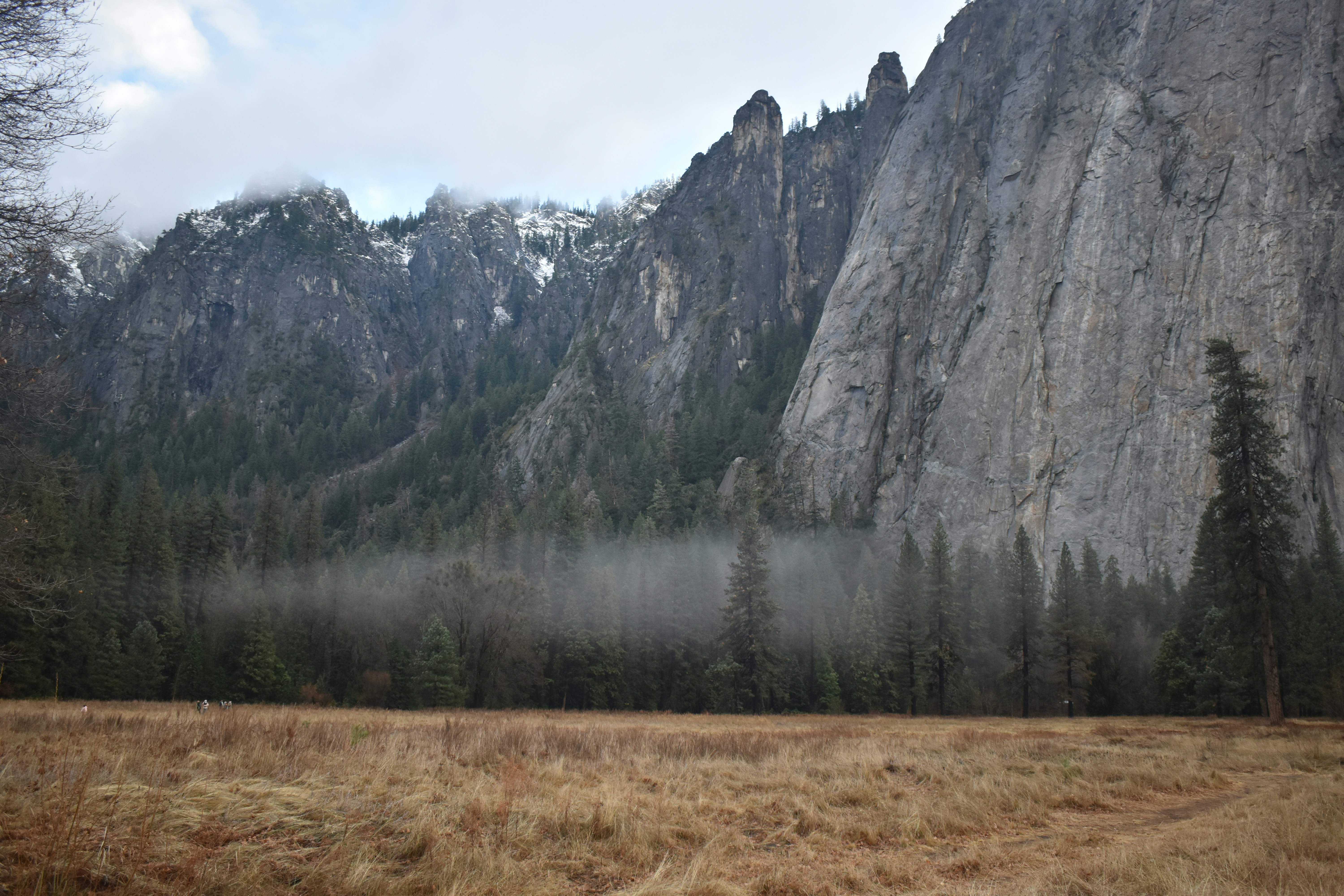Fog drifts through a forest clearing beneath towering granite cliffs.
