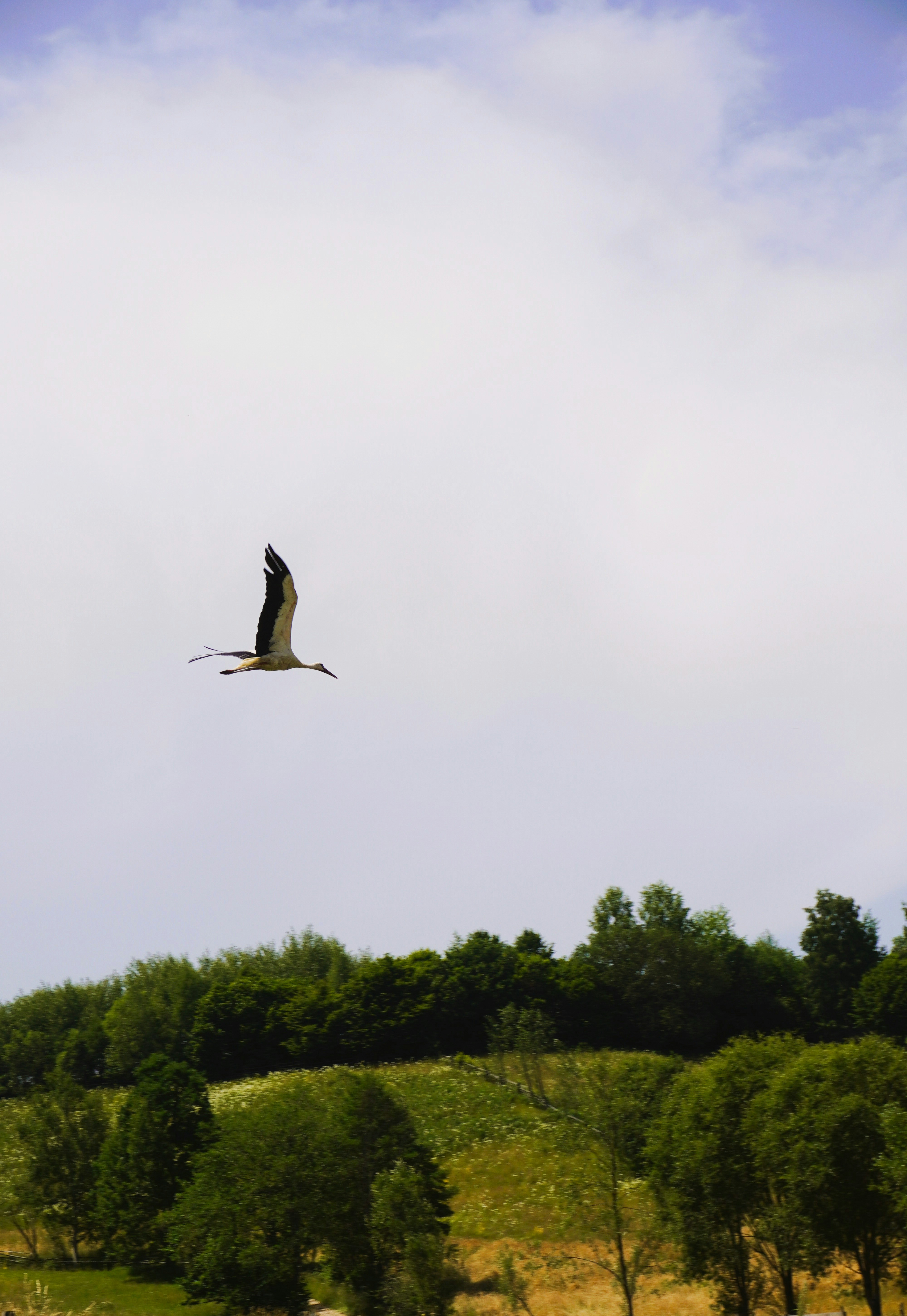 Photo by Ioana-Roxana with Sony Alpha 6100