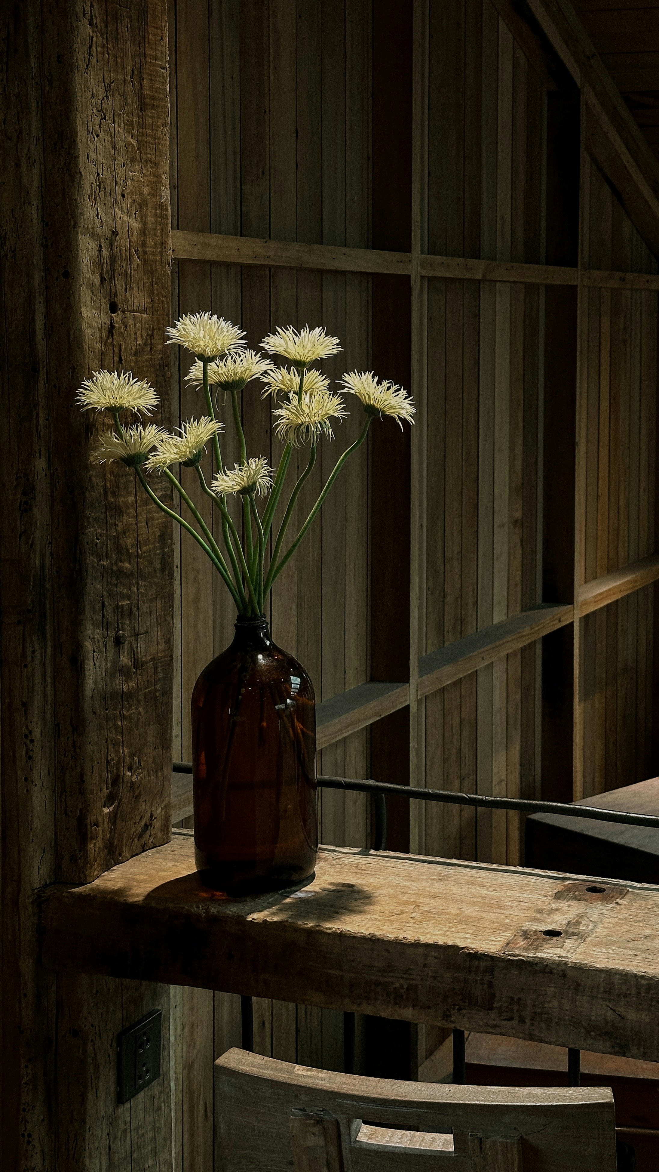 Whispers of Light: Chrysanthemums in a Brown Bottle on a Weathered Wooden Ledge
