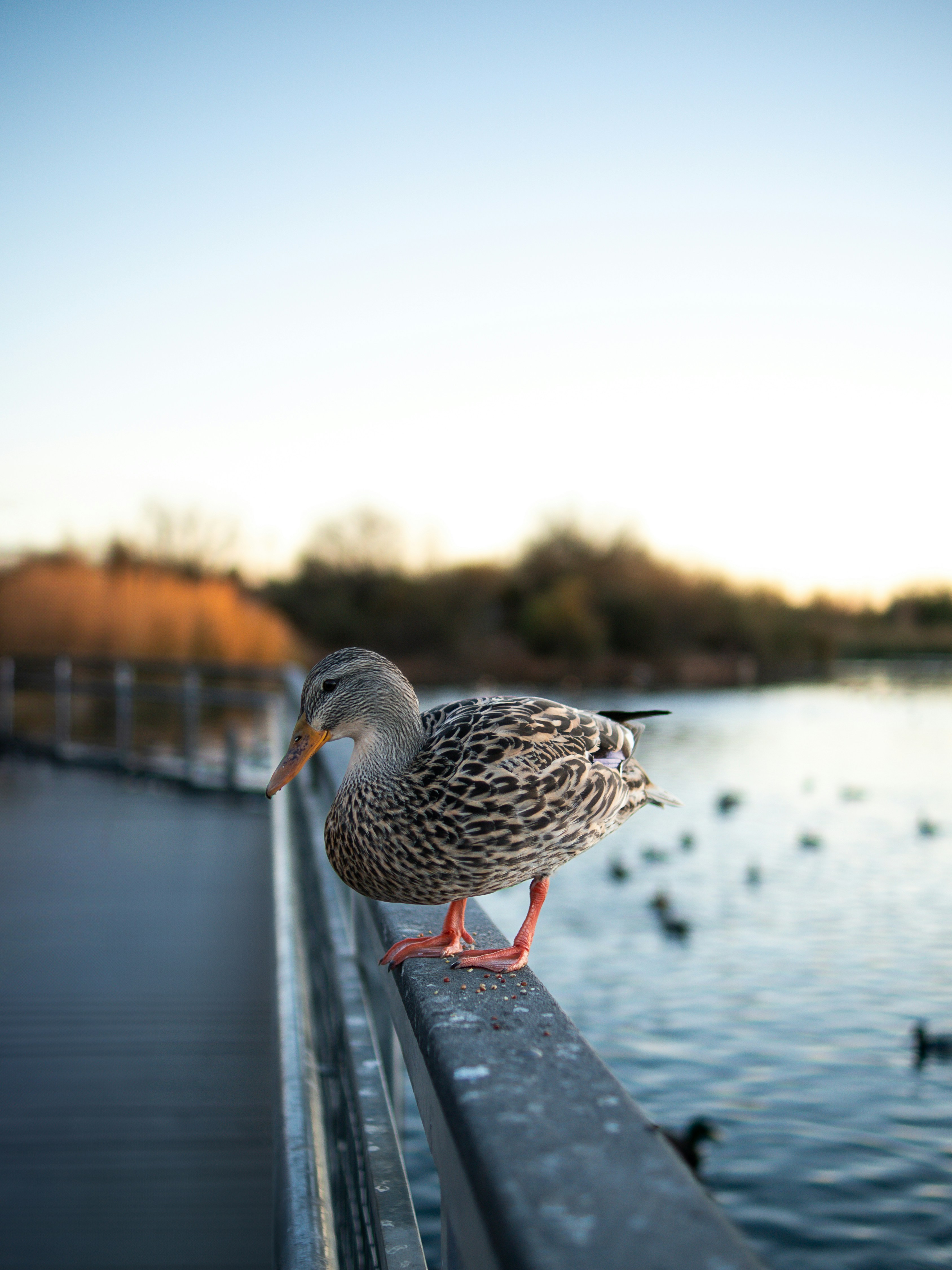 Photo by Tony Eight Media with Sony Alpha 6300