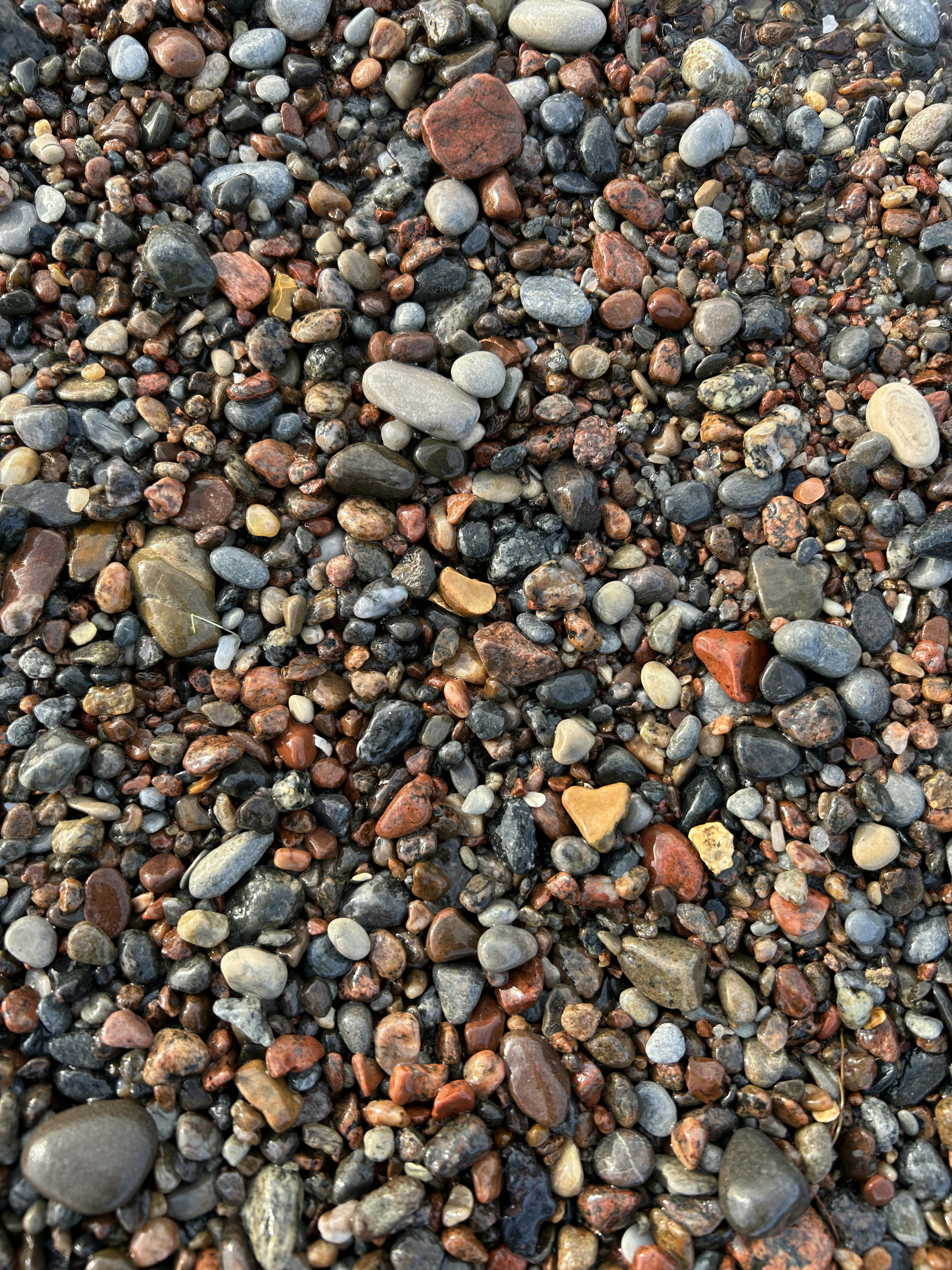 Close-Up Mosaic of Multicolored Beach Pebbles