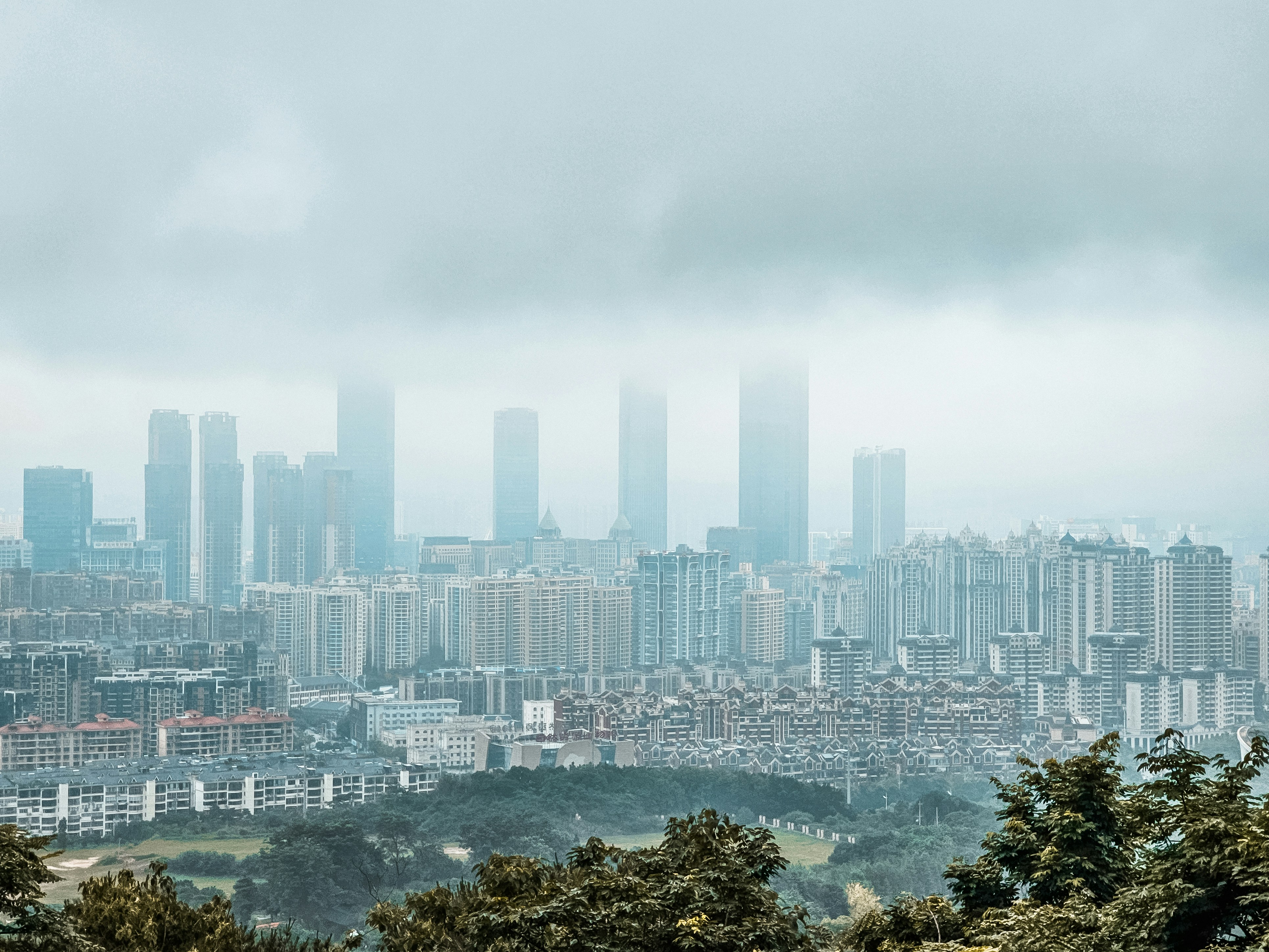 Modern city skyline shrouded in mist, with skyscrapers rising above low clouds and lush greenery in the foreground.