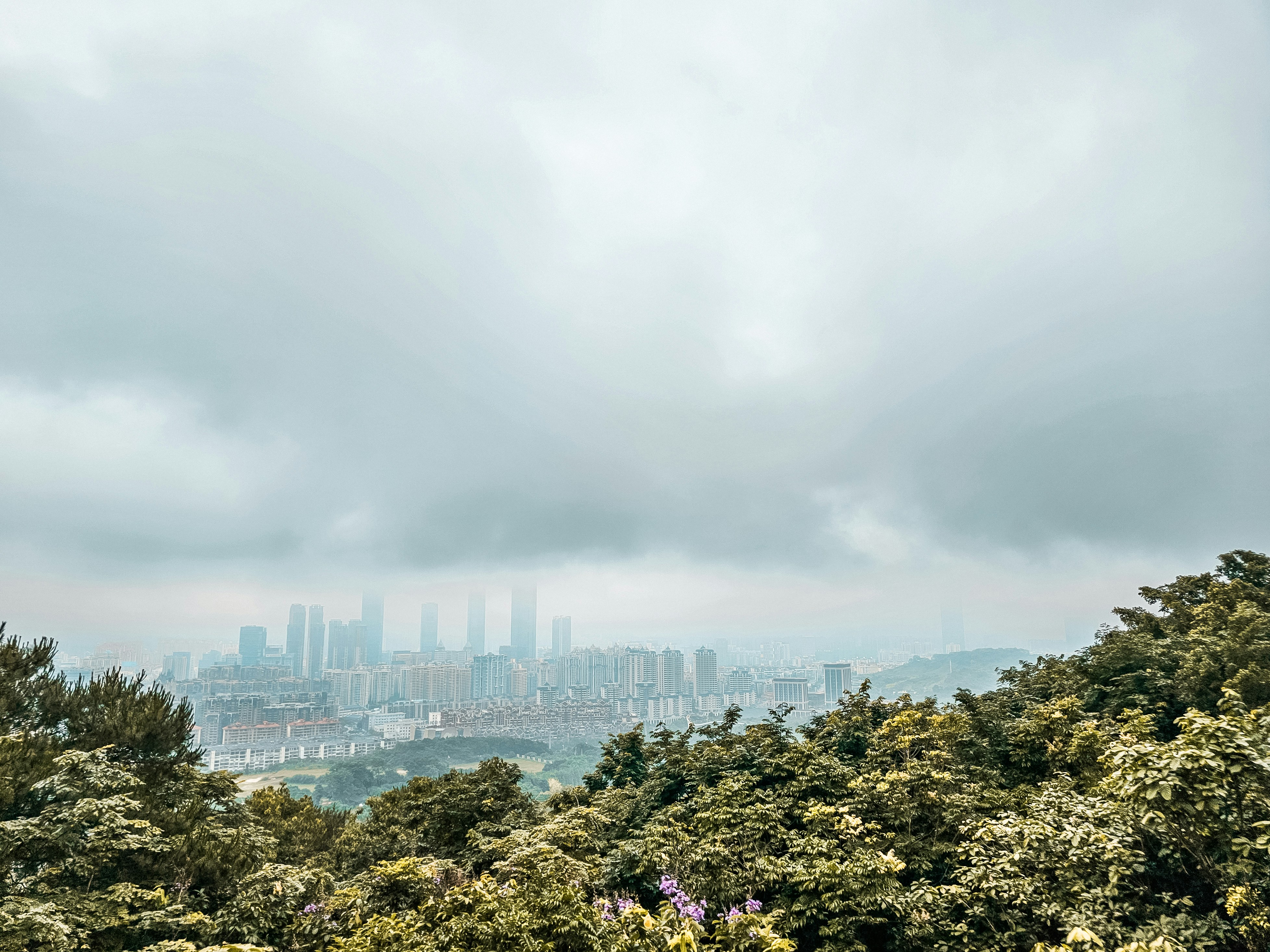 City skyline enveloped in mist with skyscrapers emerging above lush green trees under a cloudy sky.