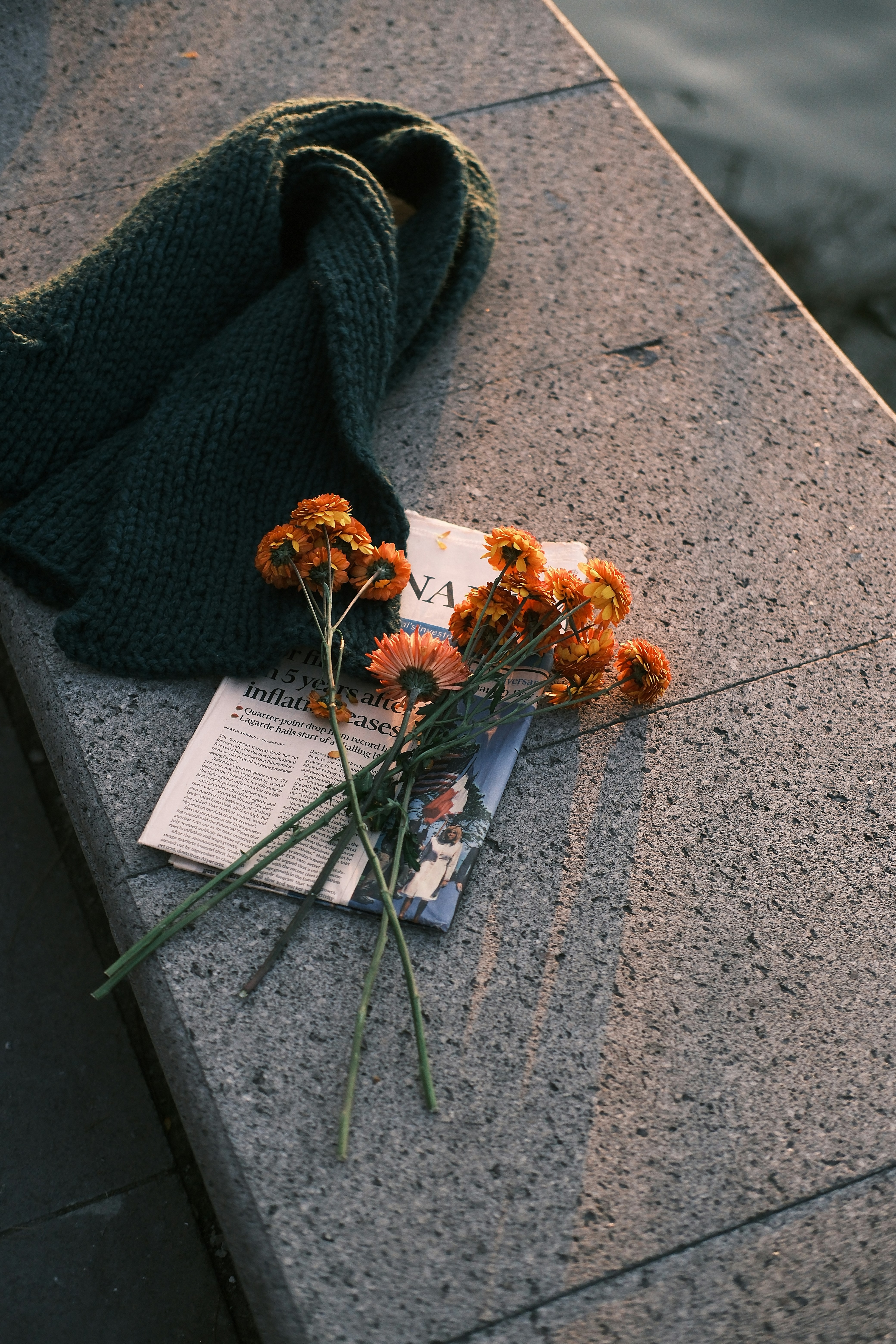 A bunch of flowers that are sitting on a ledge photo – Free Newspaper ...