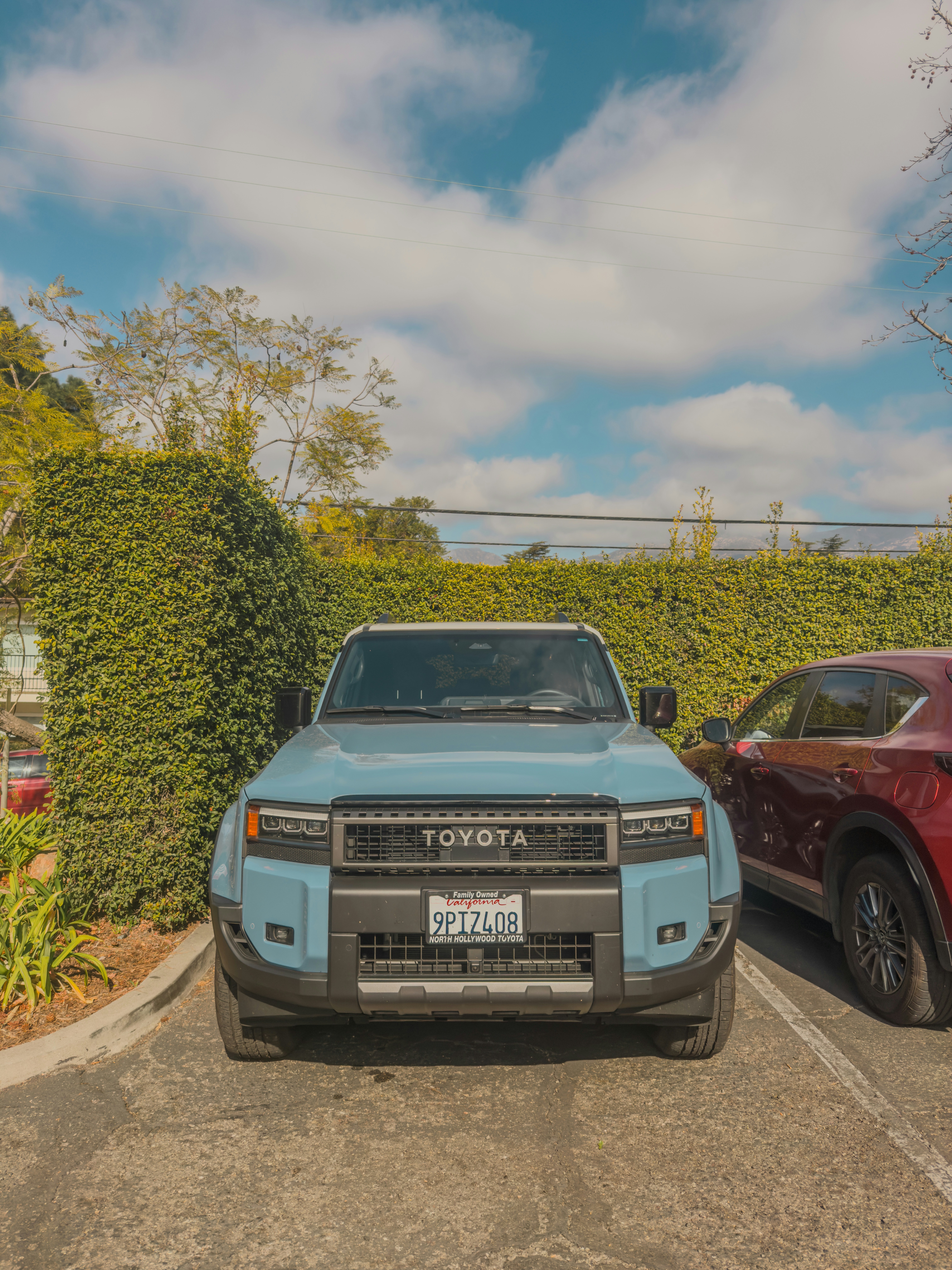 Midday Standoff: Blue Toyota Pickup Anchored by Hedge and Sky