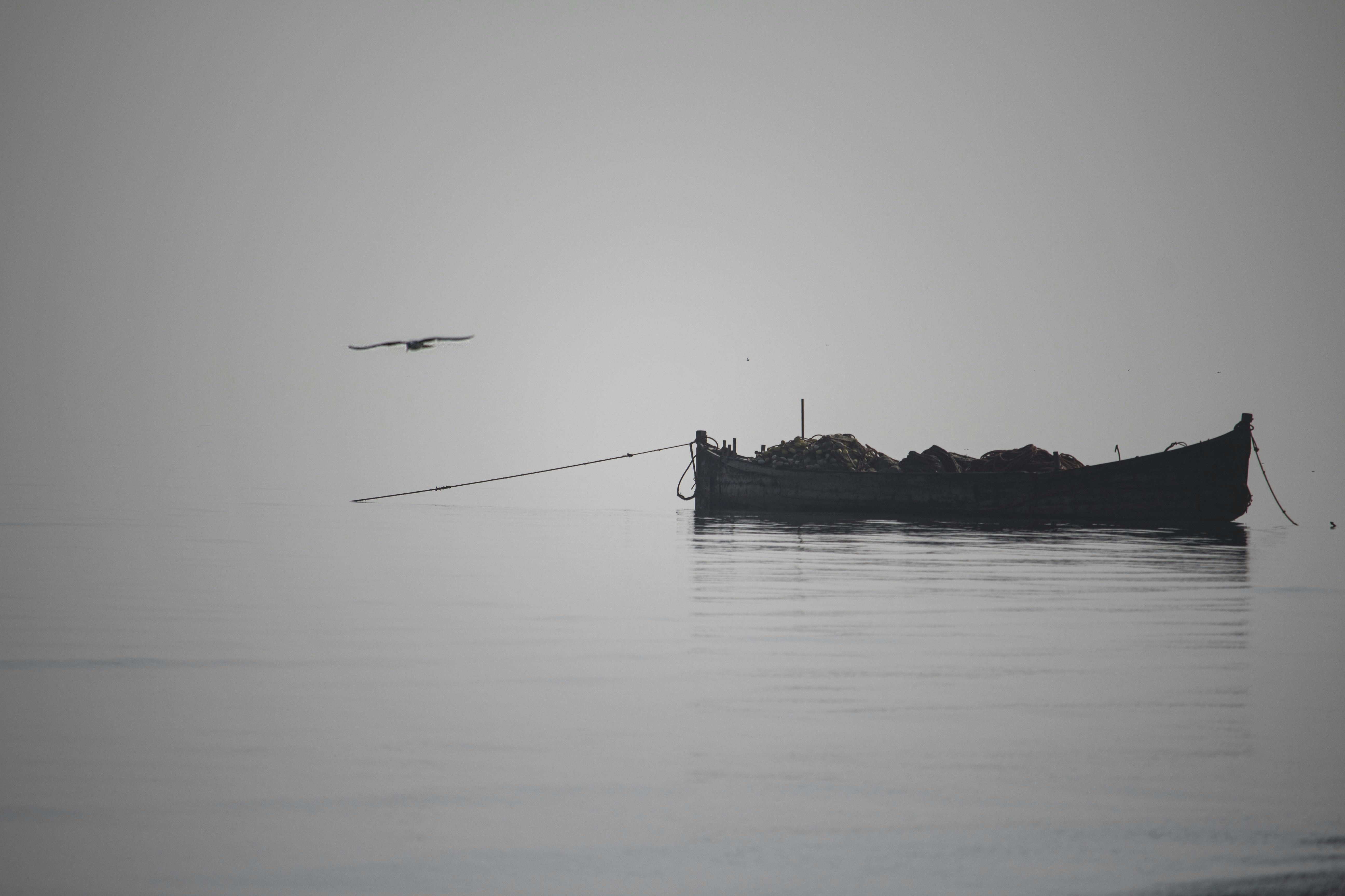 Photo by Farid Karimi with Canon EOS 700D