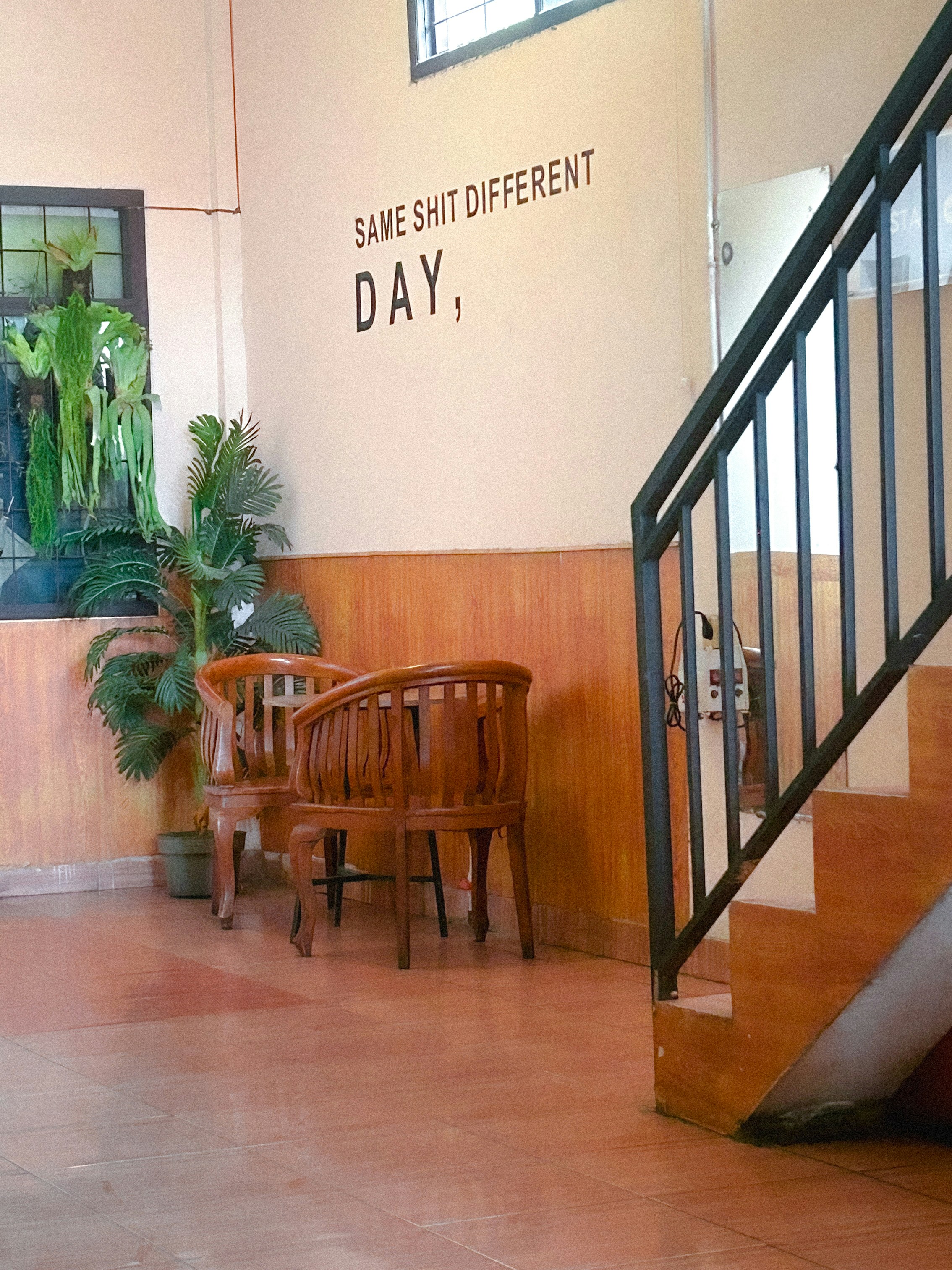 Wooden chairs nestled in a warm-toned corner with a plant, featuring a thought-provoking phrase on the wall.