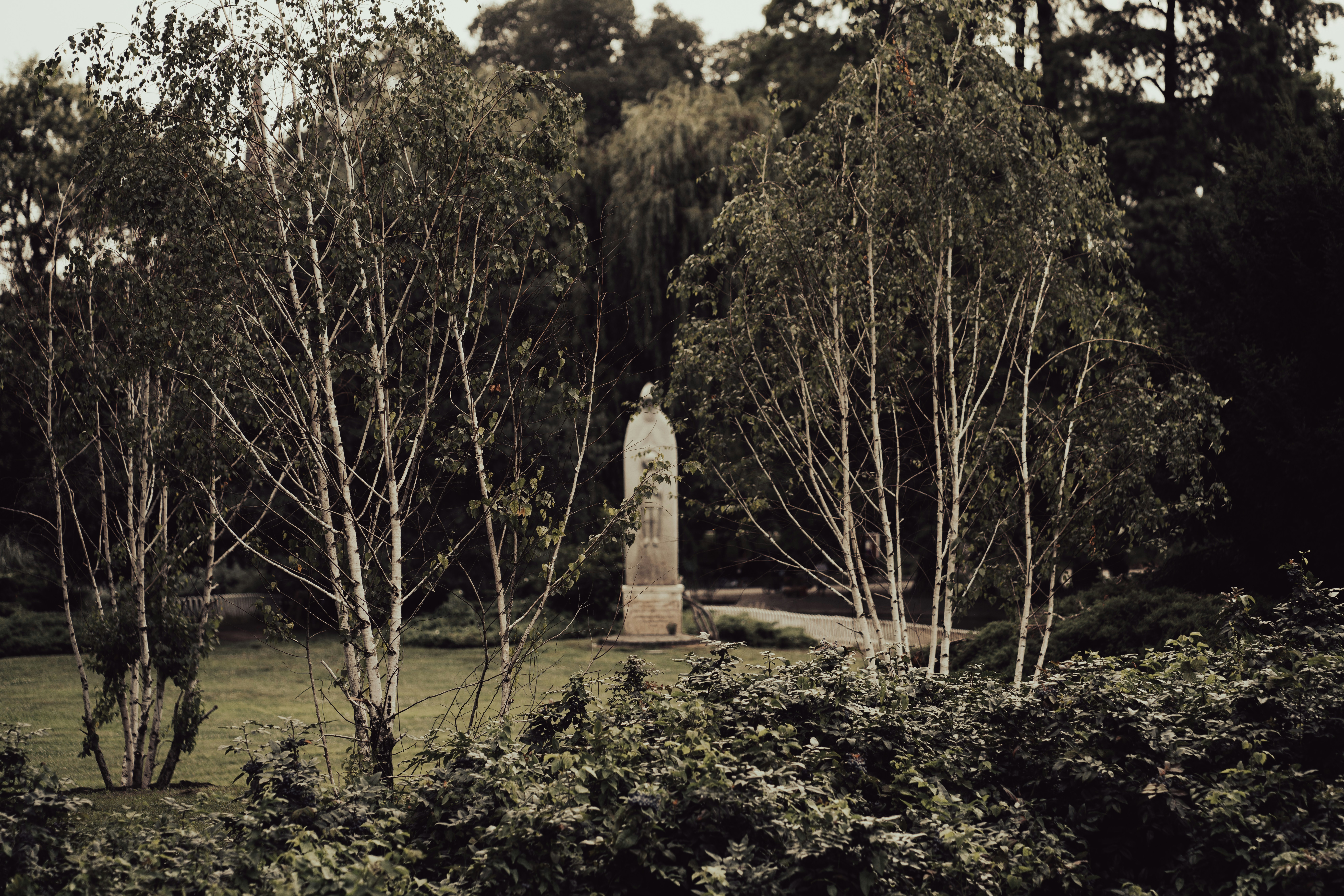 Photo by Erinada Valpurgieva with Sony Alpha 7R II