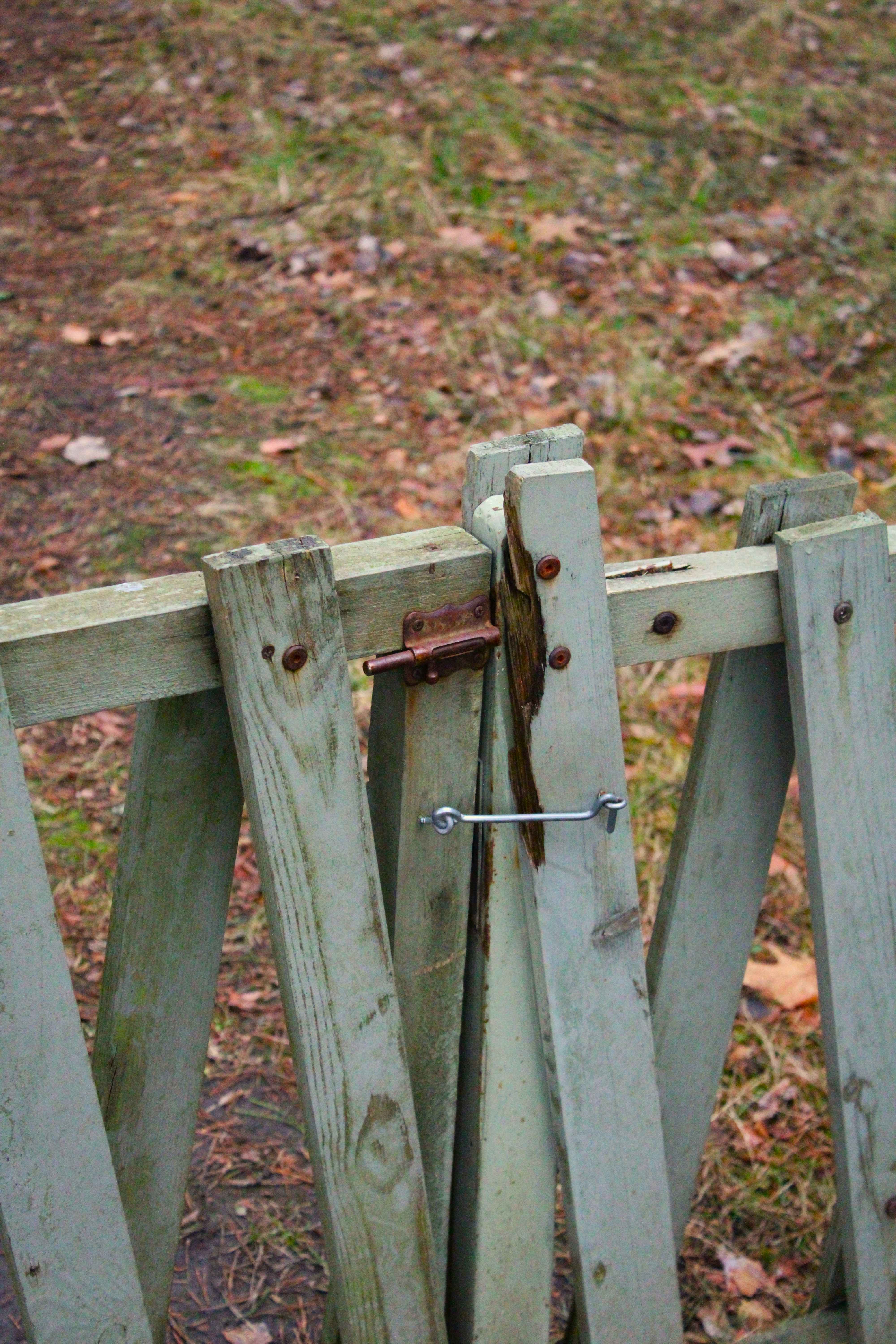 Weathered Green Gate Latch Framing a Leaf-Littered Path