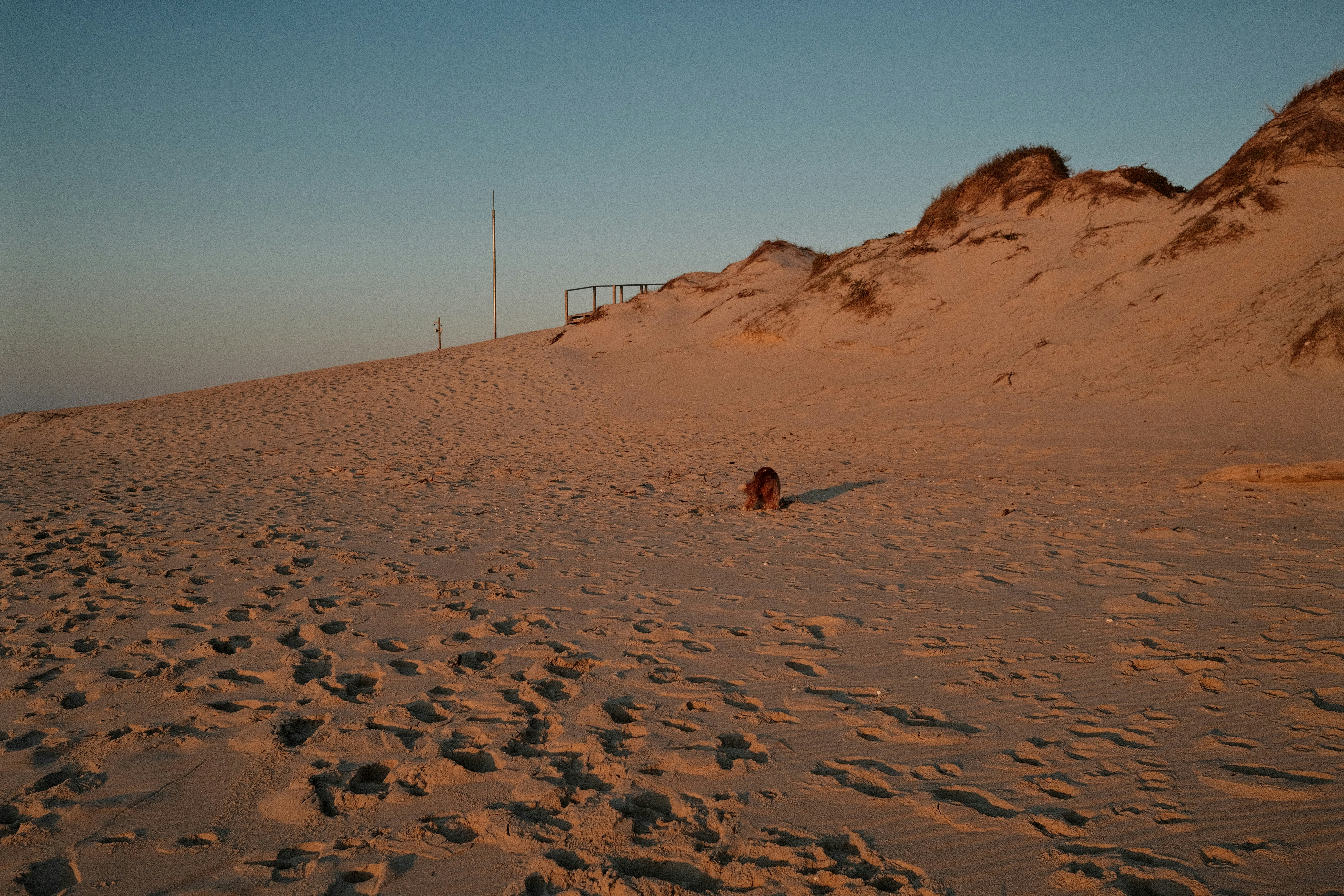 Photo by Valentin Lacoste with Fujifilm X100V