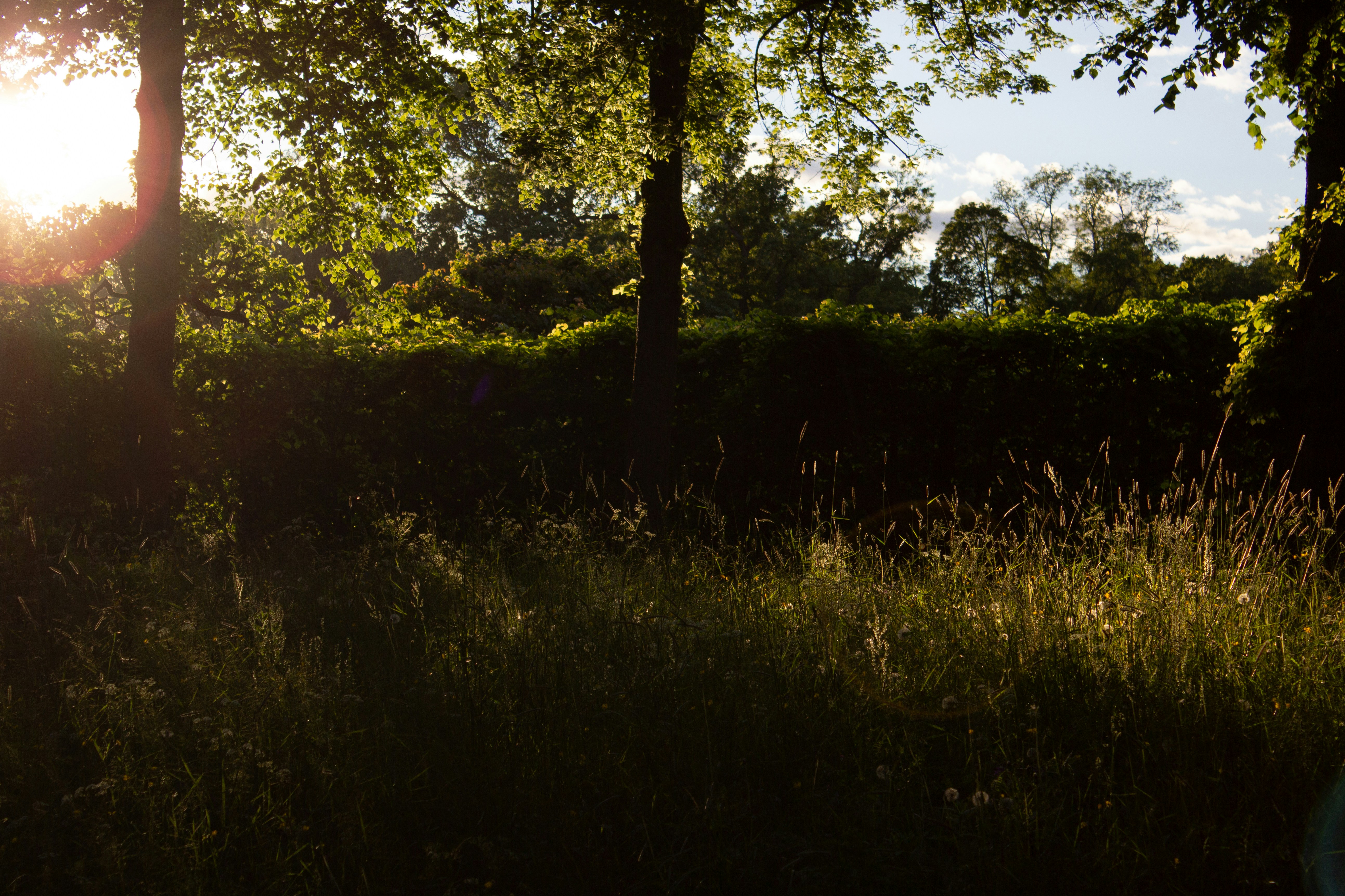 Photo by Shirin Kamal with Canon EOS 600D