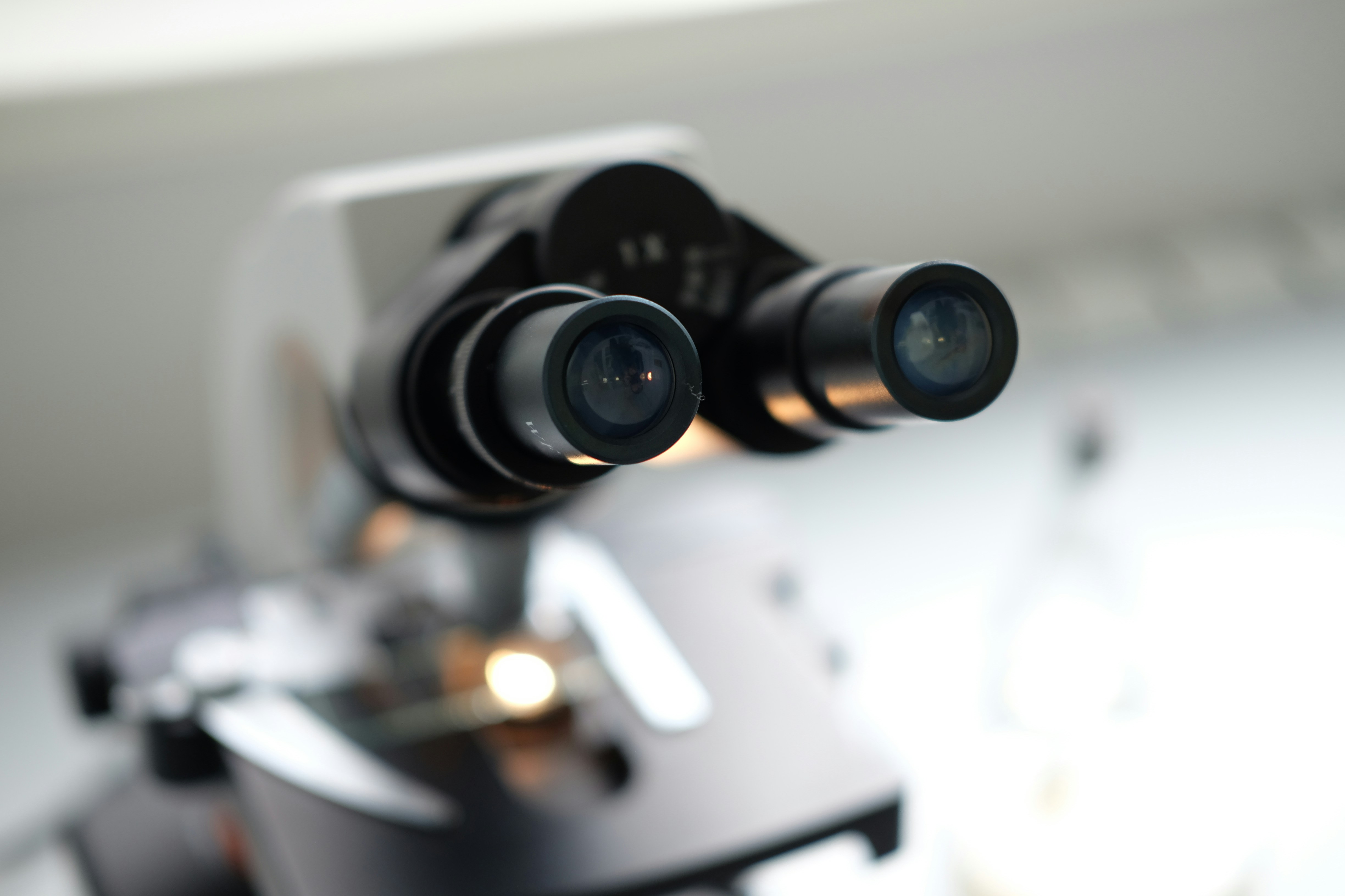 How to Read Lab Results: Normal vs Optimal vs Baseline