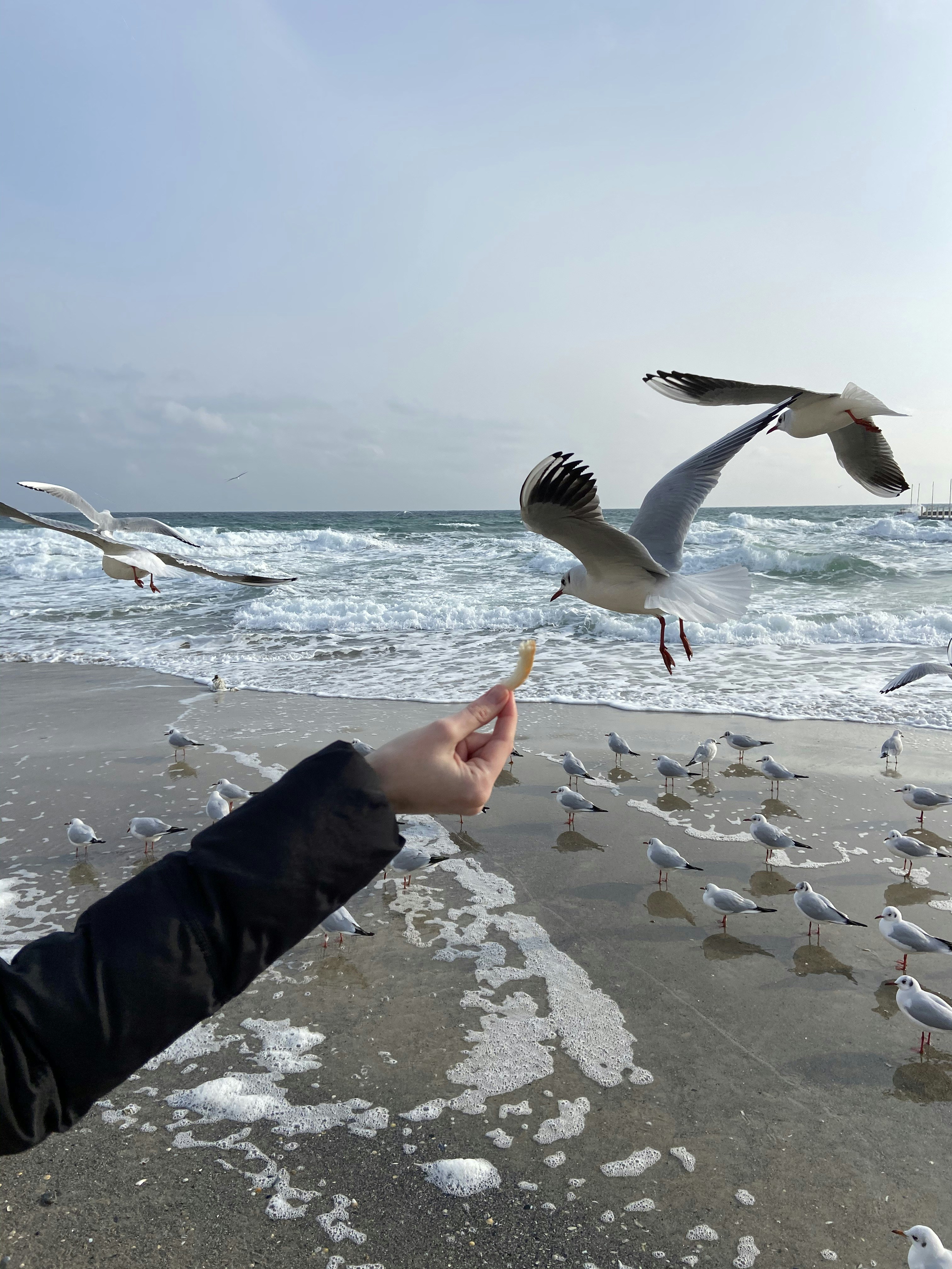 Photo by Dmytro Vynohradov with Apple iPhone 11