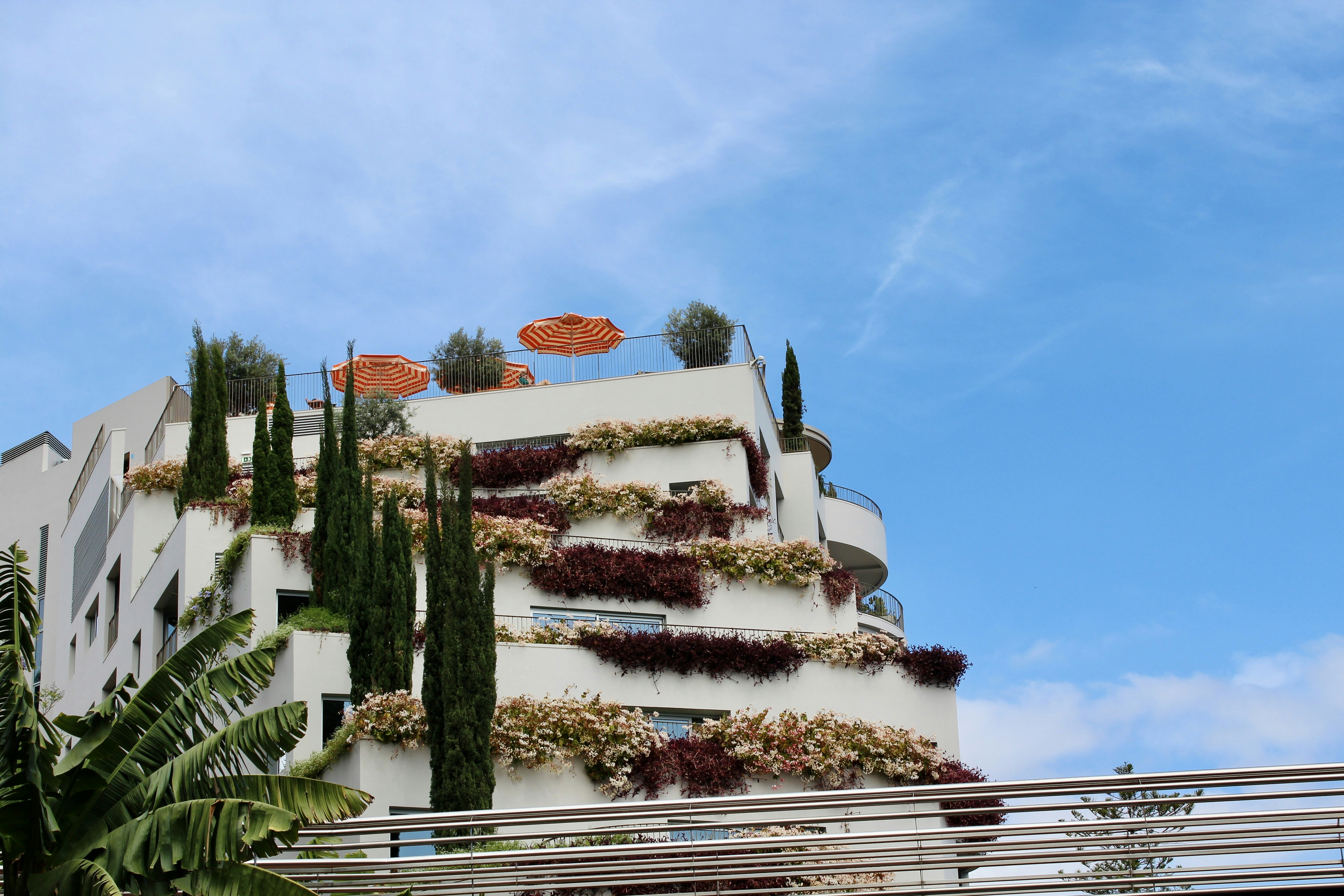 Terraced Oasis under a Cerulean Sky: Verdant Steps and Orange Umbrellas