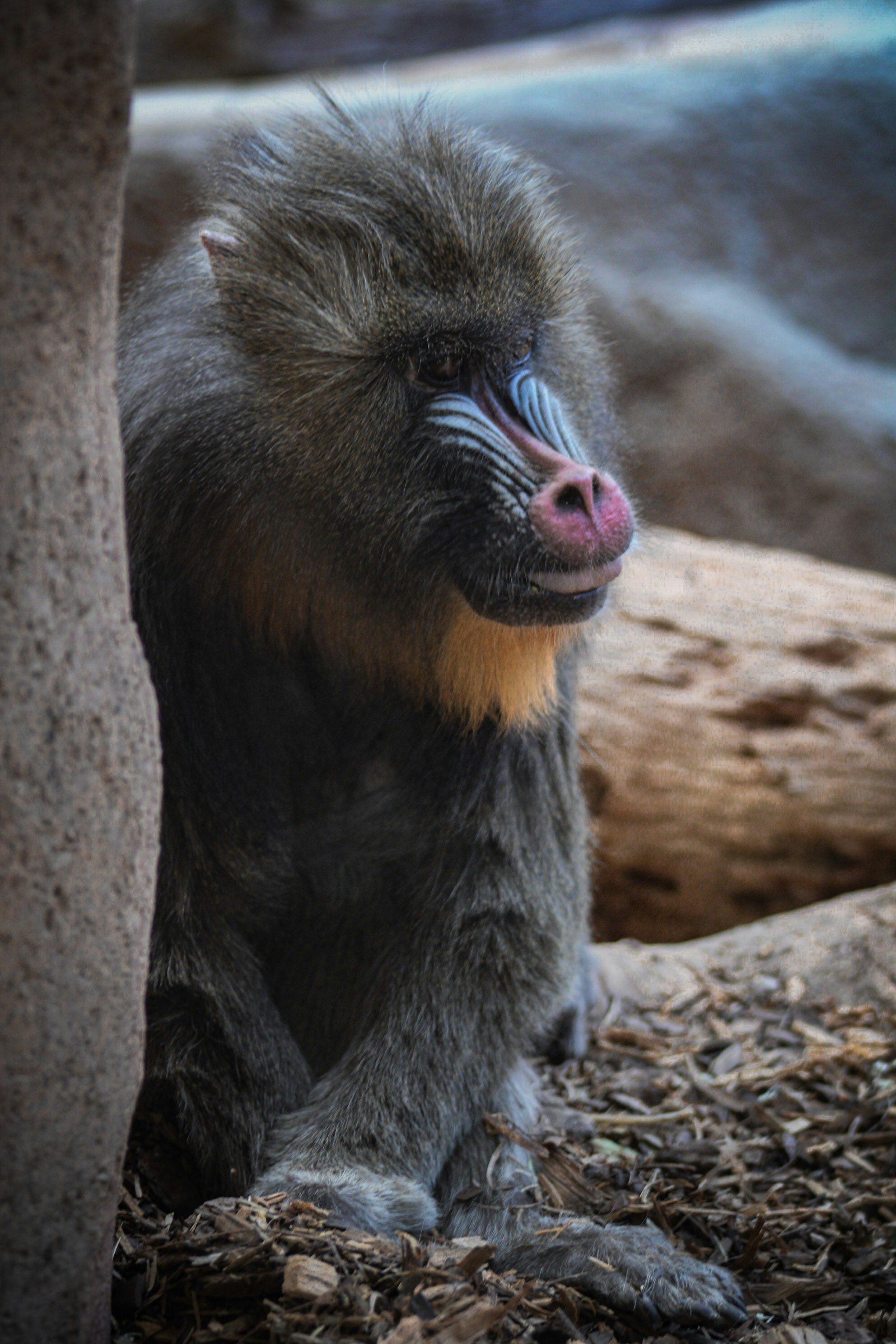 Photo by Siera Chadwick with Canon EOS 2000D