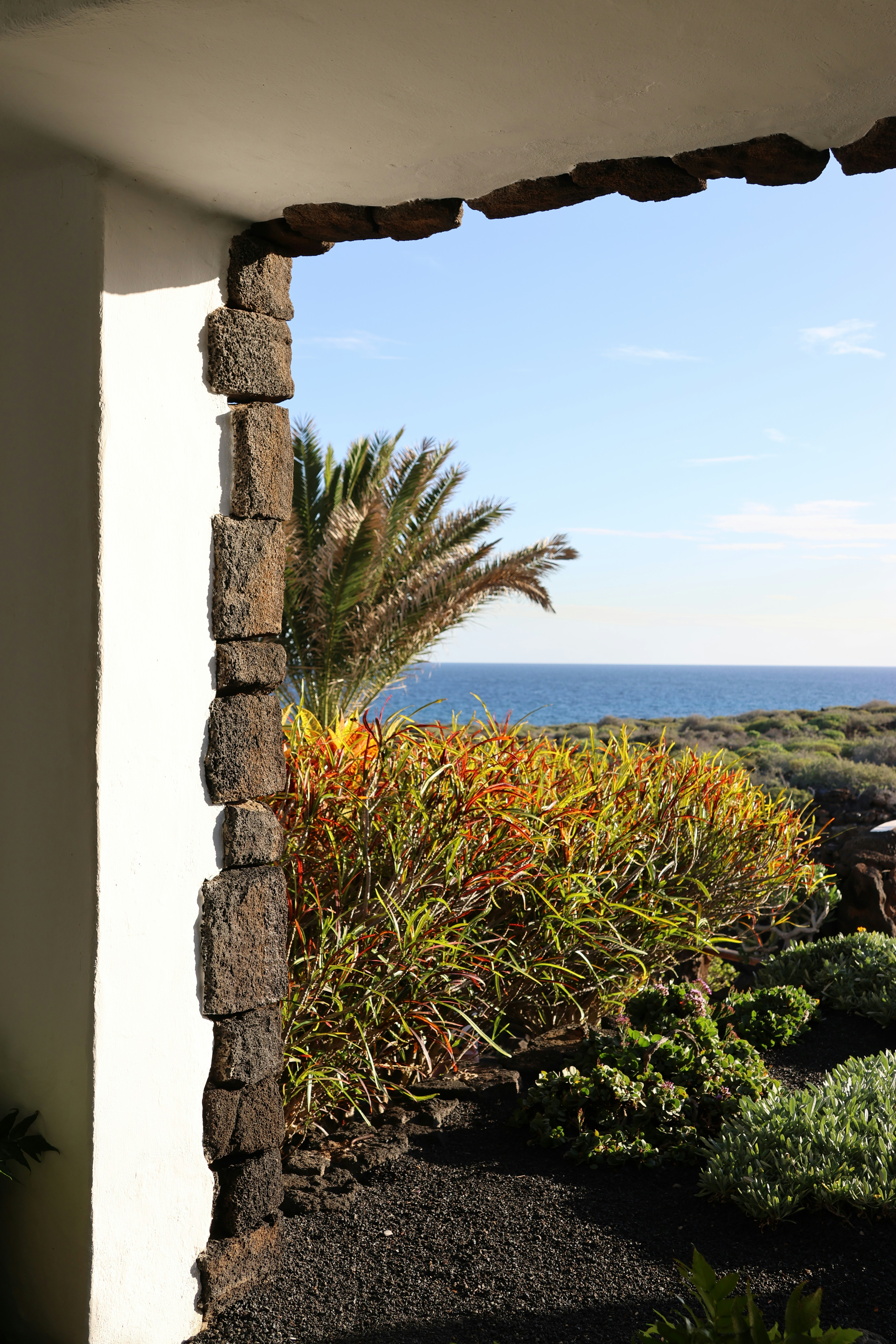 Photo by Nerea JH with Canon EOS R7