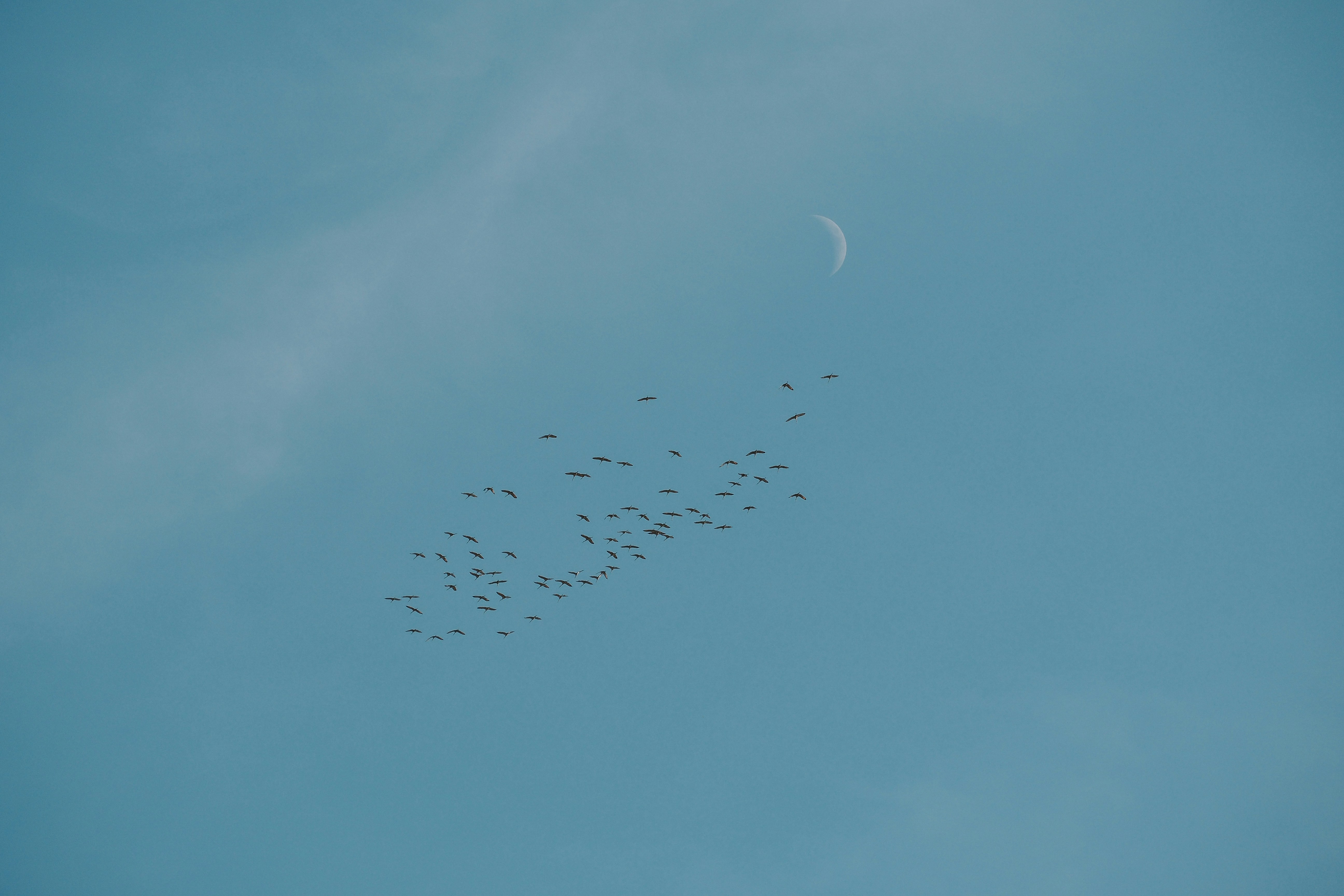 Photo by Barbara Burgess with Olympus PEN-F