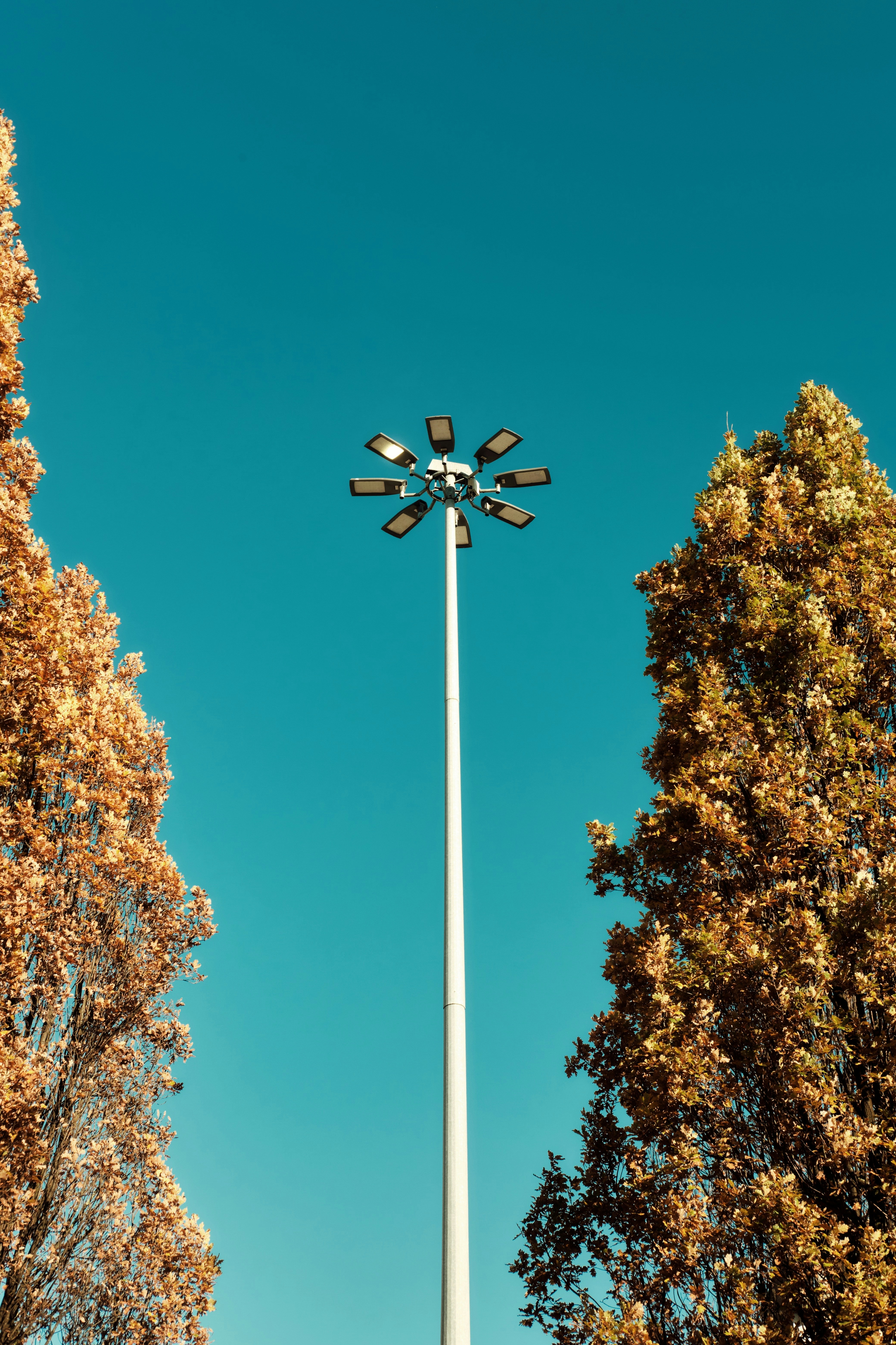 Tall streetlight rises against a teal sky, flanked by autumn-colored trees. The composition emphasizes minimalist geometry and bold color contrast.