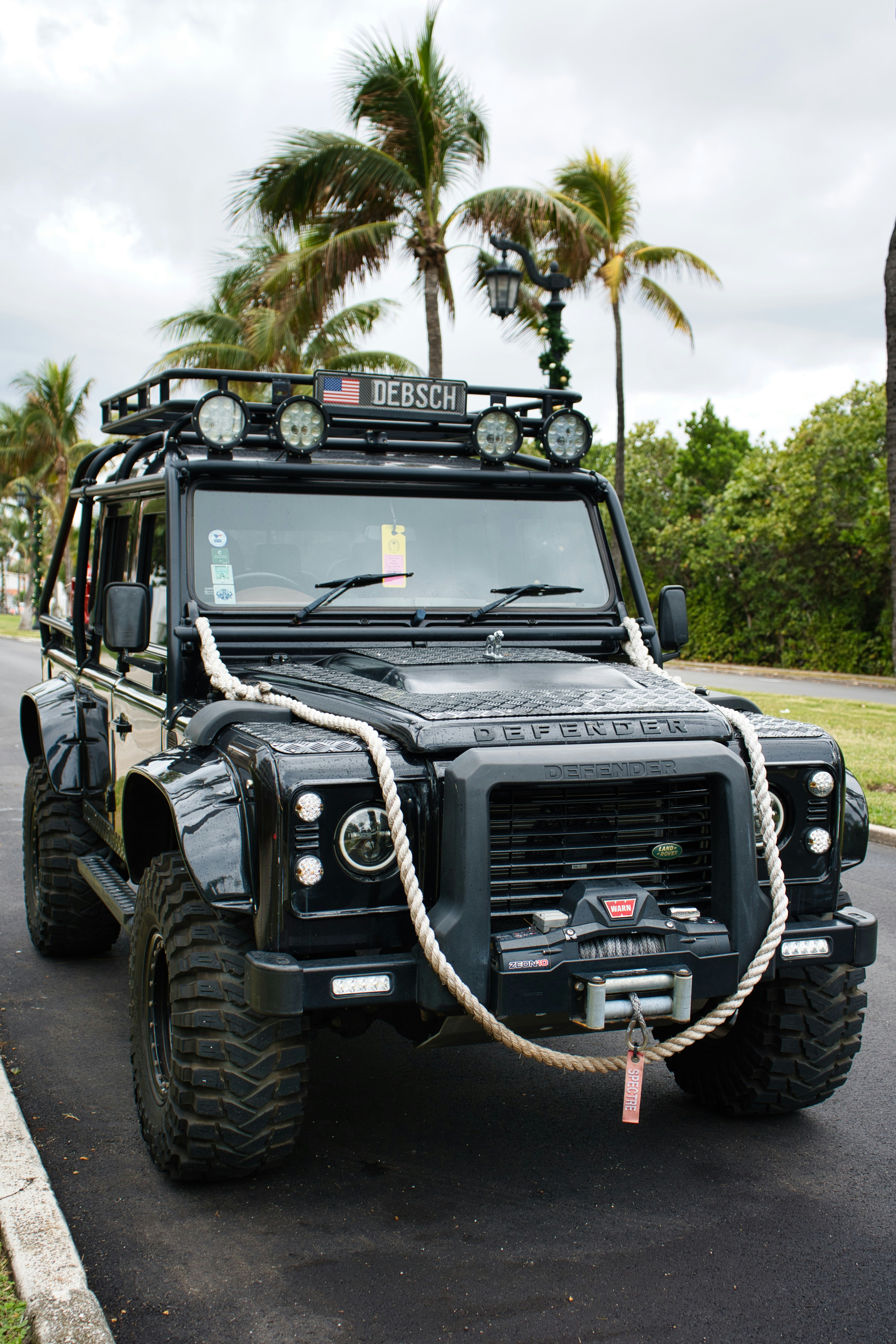 Rope-Trimmed Defender Under Palms: A Coastal-Adventure Ready Vehicle