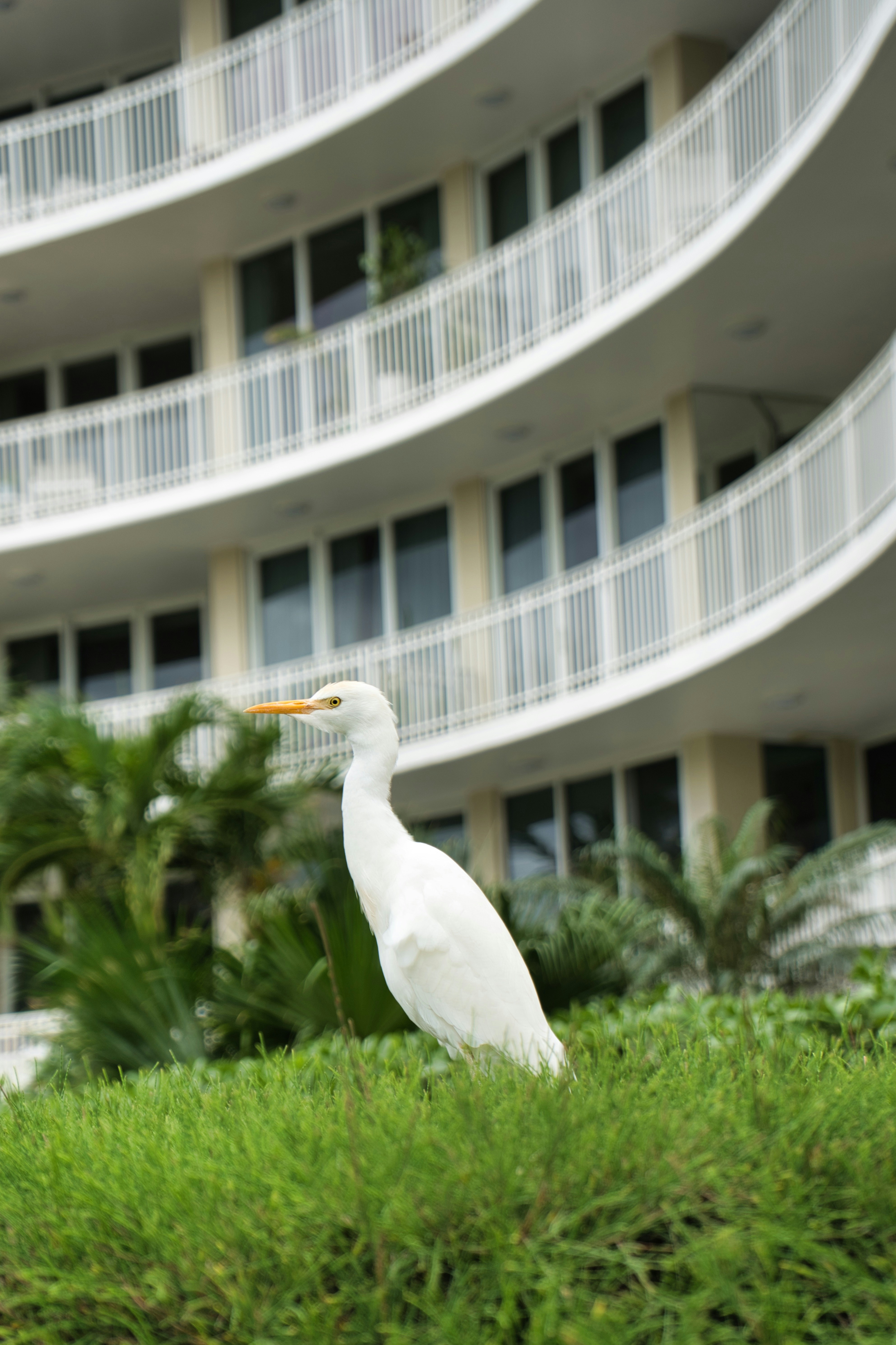 Photo by Rodrigo Aime with Sony Alpha 7 IV