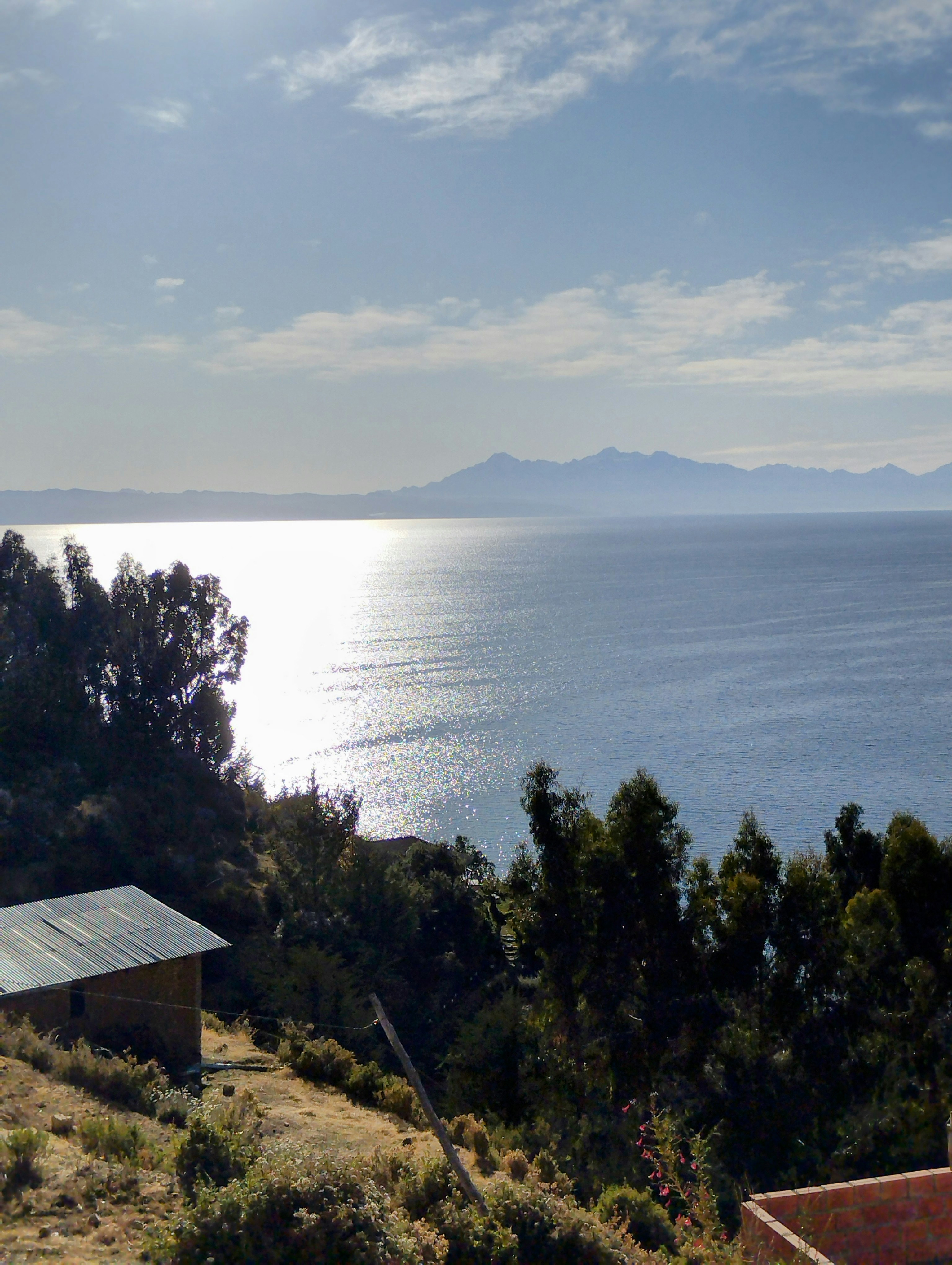 Sunlit sea stretches to a distant mountain horizon, with pine trees and a small hillside structure in the foreground.