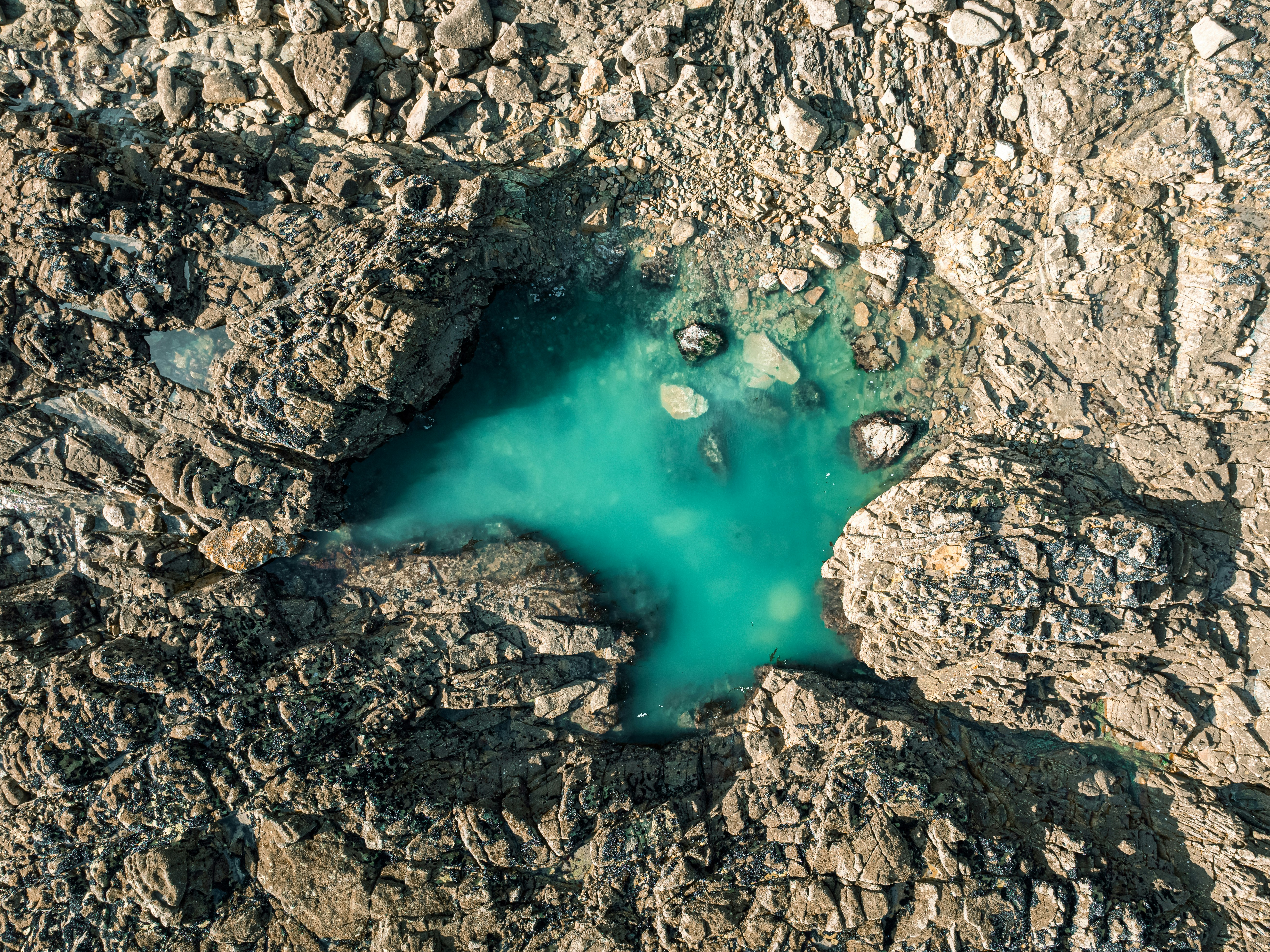Turquoise Jewel Amidst Stony Embrace