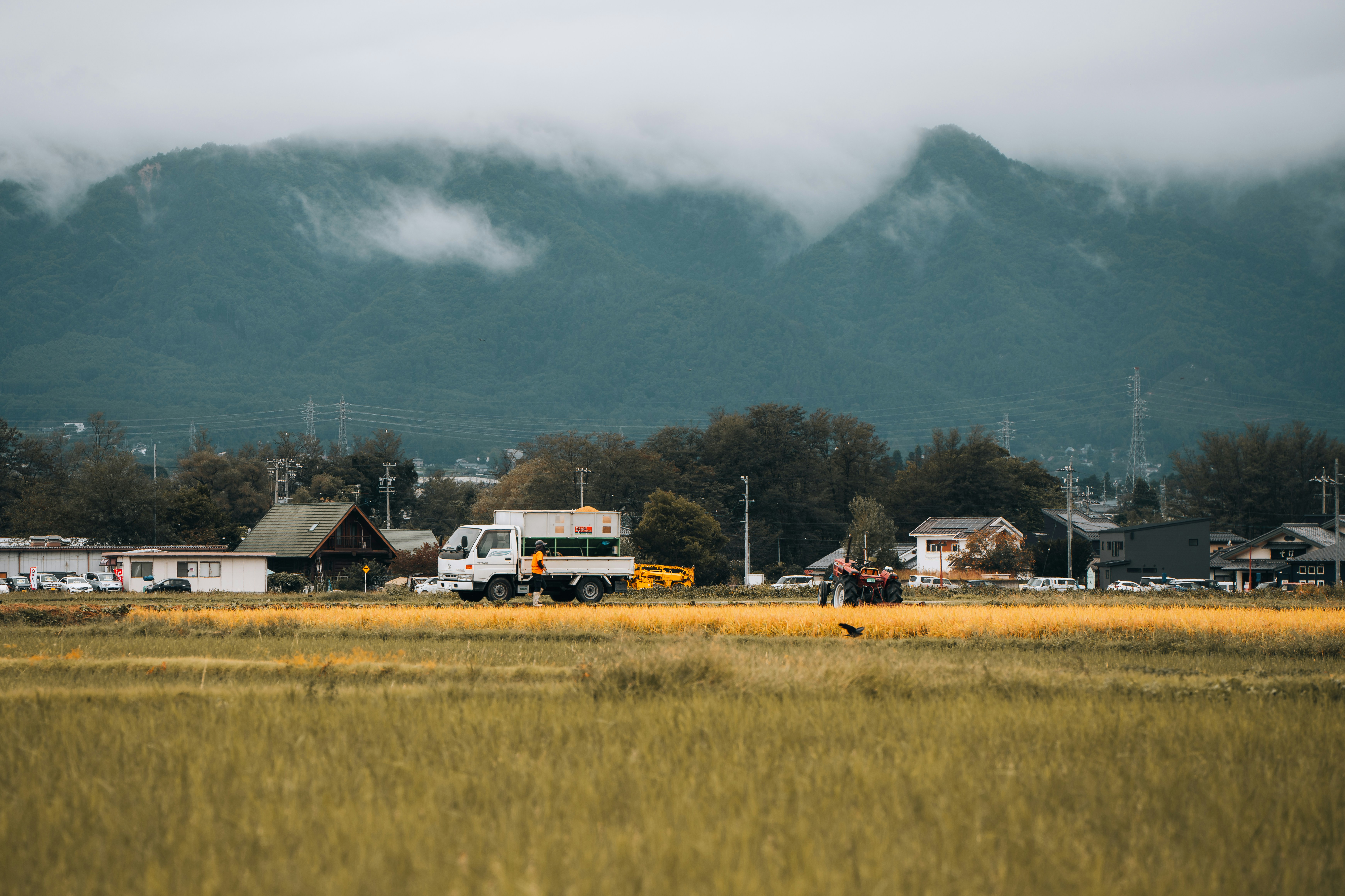 Golden Field Meet: A Quiet Rural Arrival Beneath Alpine Mist